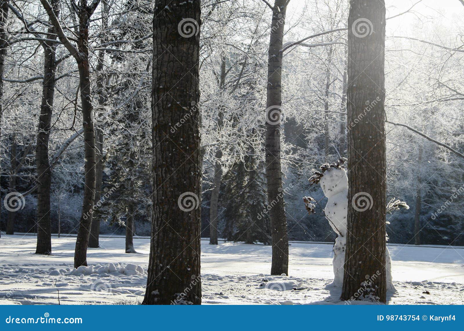 Snowman Playing Hide and Seek Stock Photo - Image of black, blue: 98743754