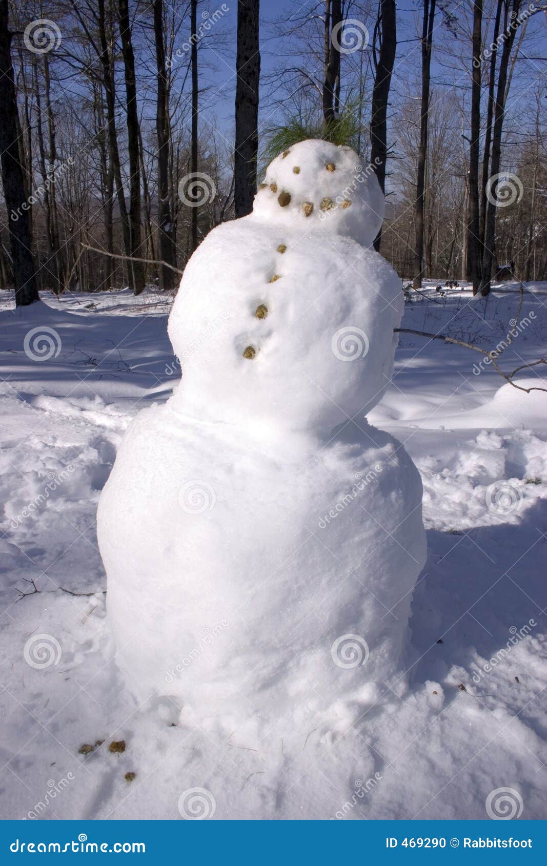 Snowman s Land stock photo. Image of wintery, rock, winter - 469290