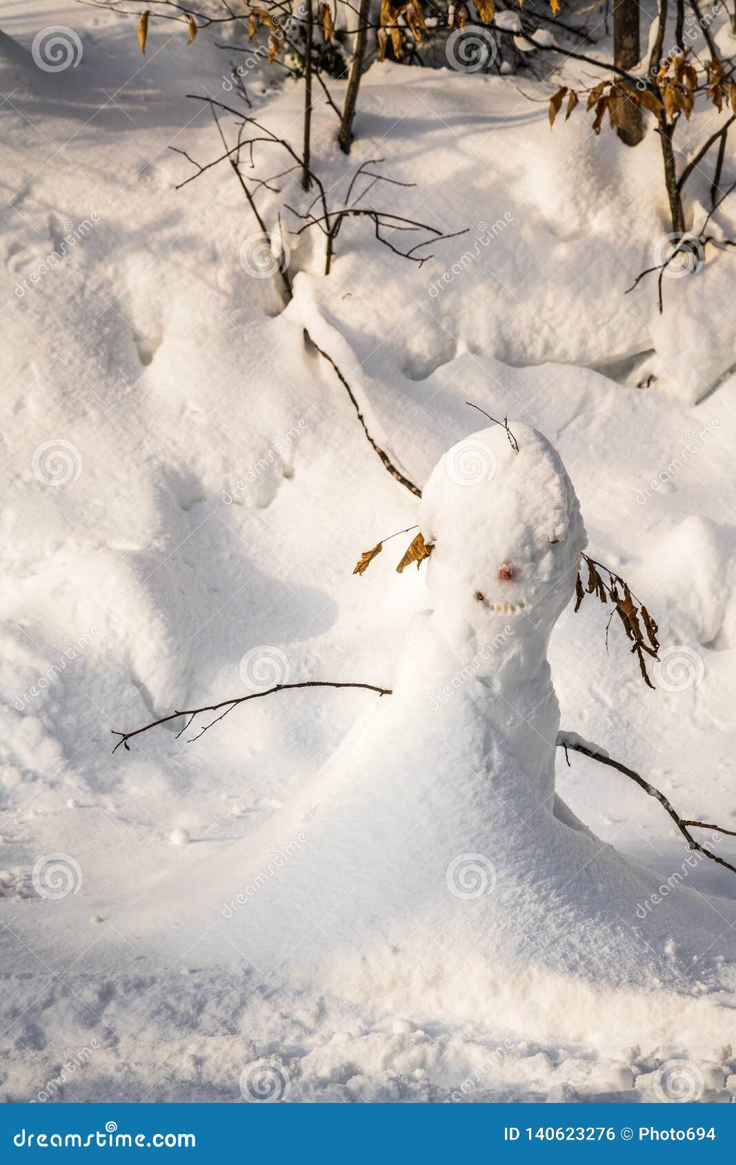A Snowman after a Snow Fall, Storm. Winter Activity, Copy Space ...