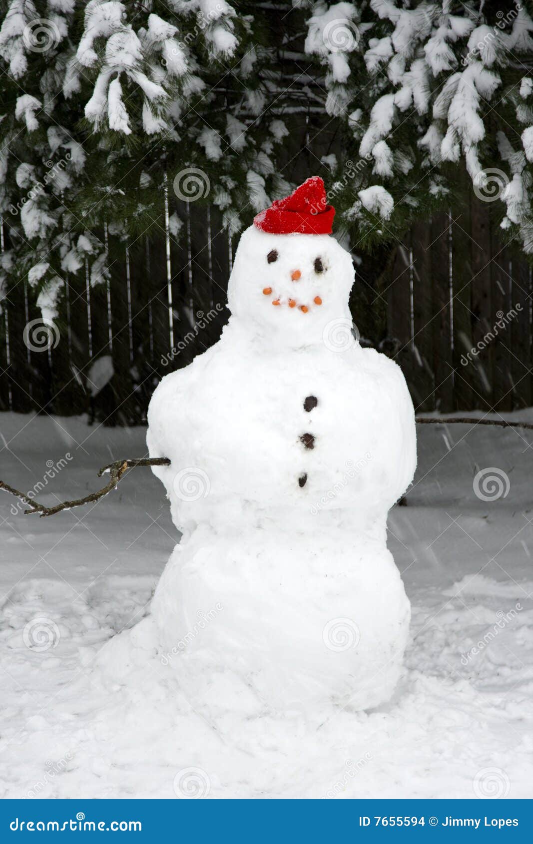 Snowman during Snow Storm stock photo. Image of merry - 7655594