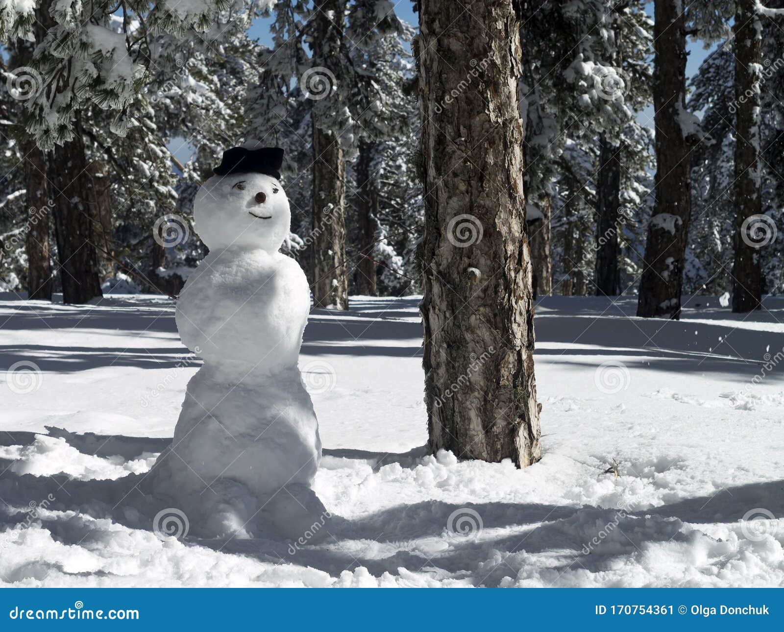 Snowman in winter forest stock image. Image of forest - 170754361