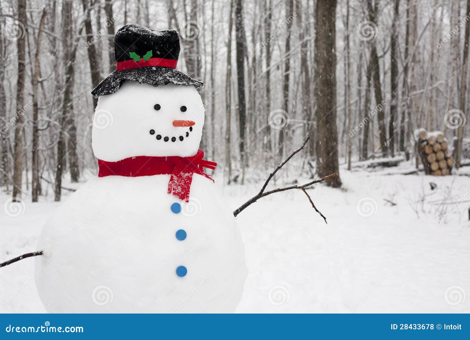 Snowman Standing in Falling Snow Stock Photo - Image of scarf, holly ...
