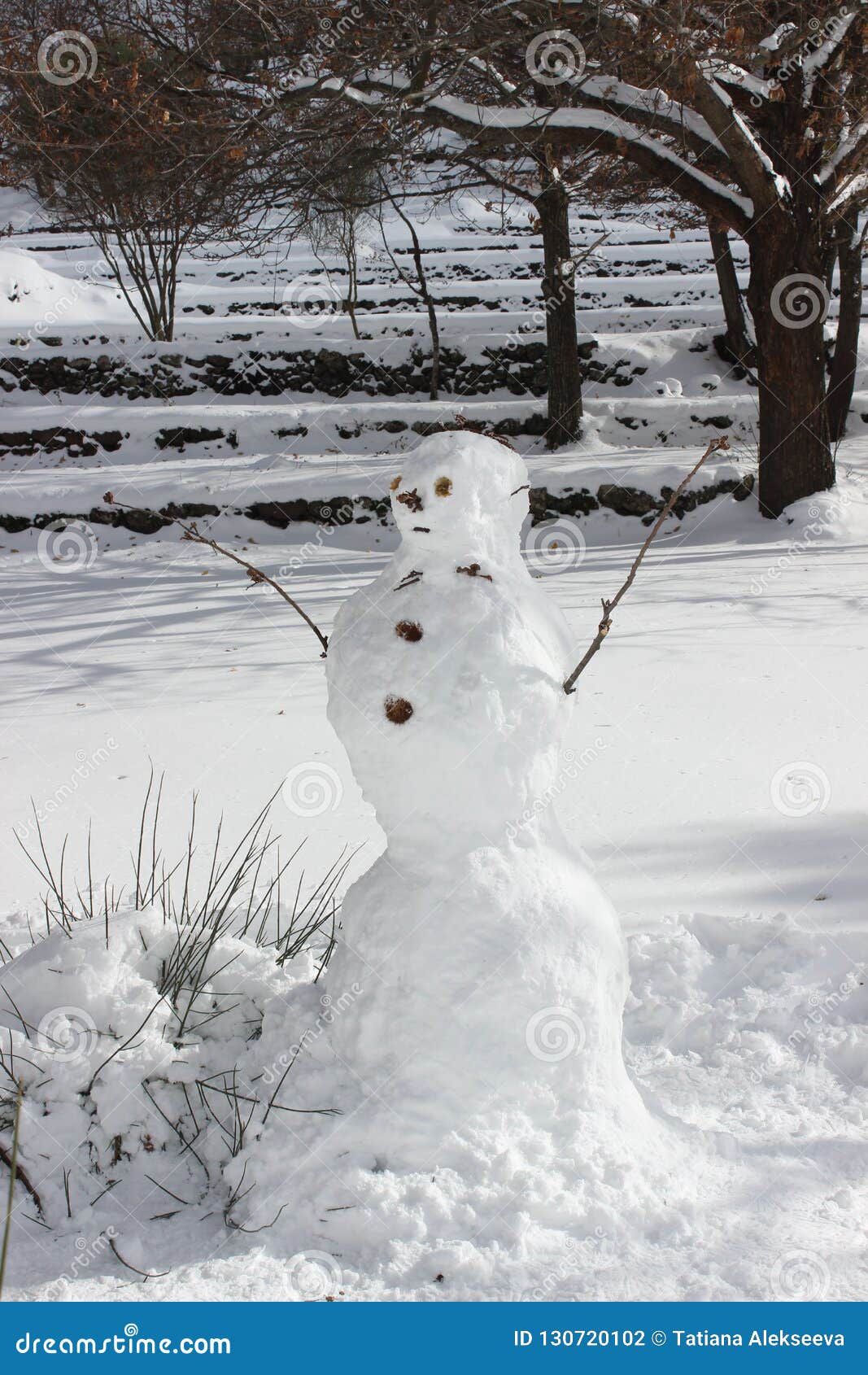 Snowman is Waiting for Spring Stock Photo - Image of chilly, spring ...
