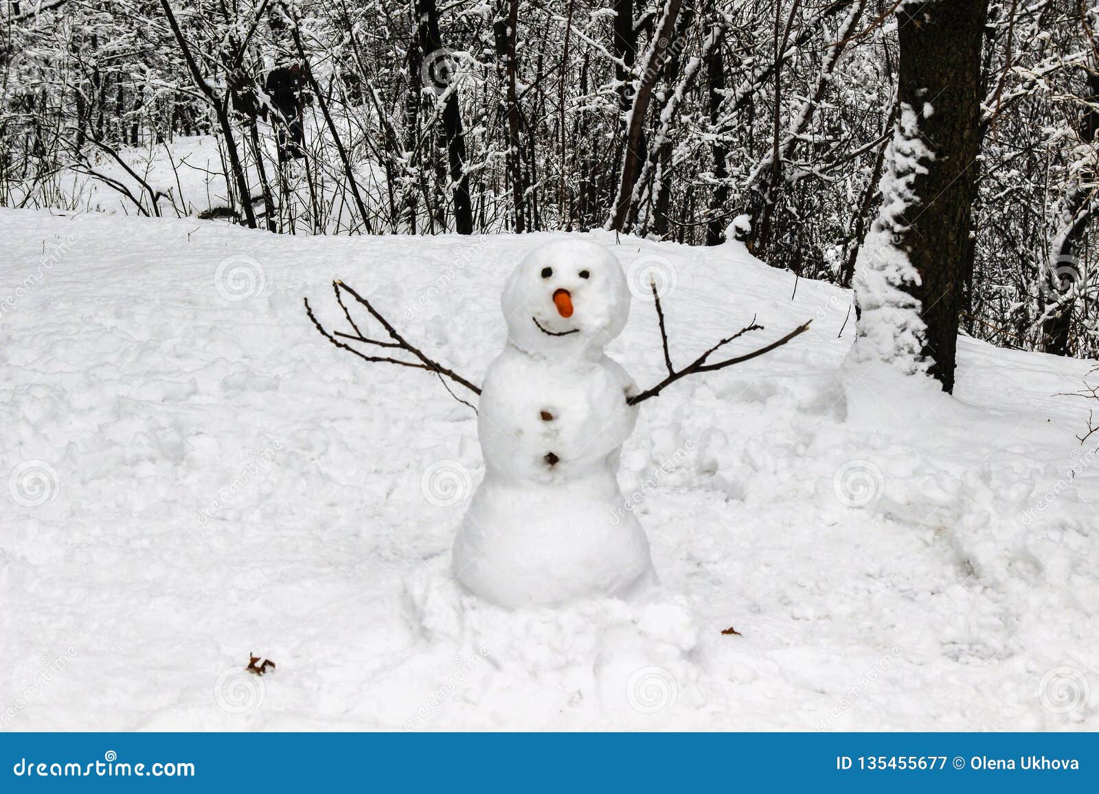 A Snowman in the Winter Forest. Made by Hand Stock Image - Image of ...