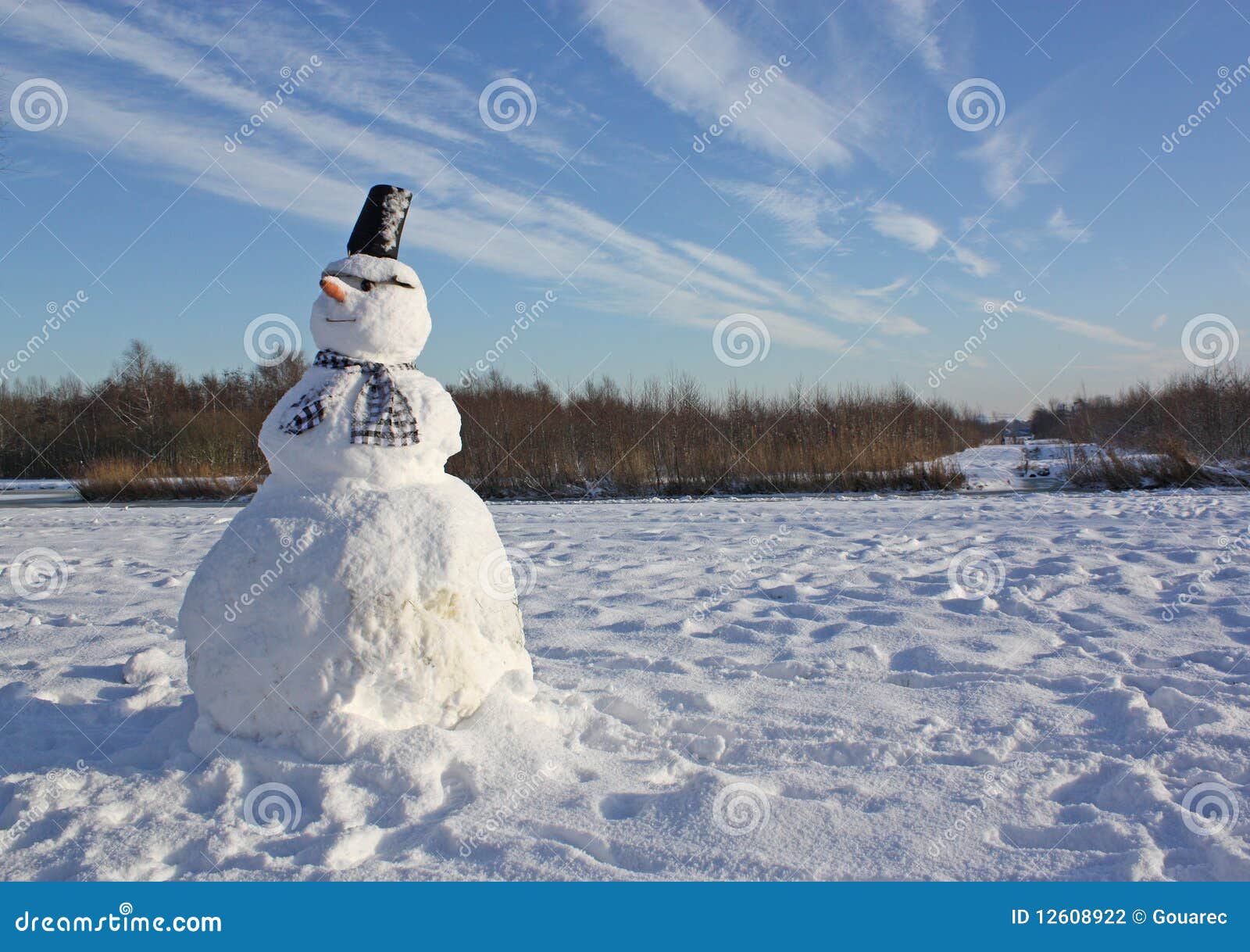 Snowman in a Winter Landscape Stock Photo - Image of blue, snowman ...