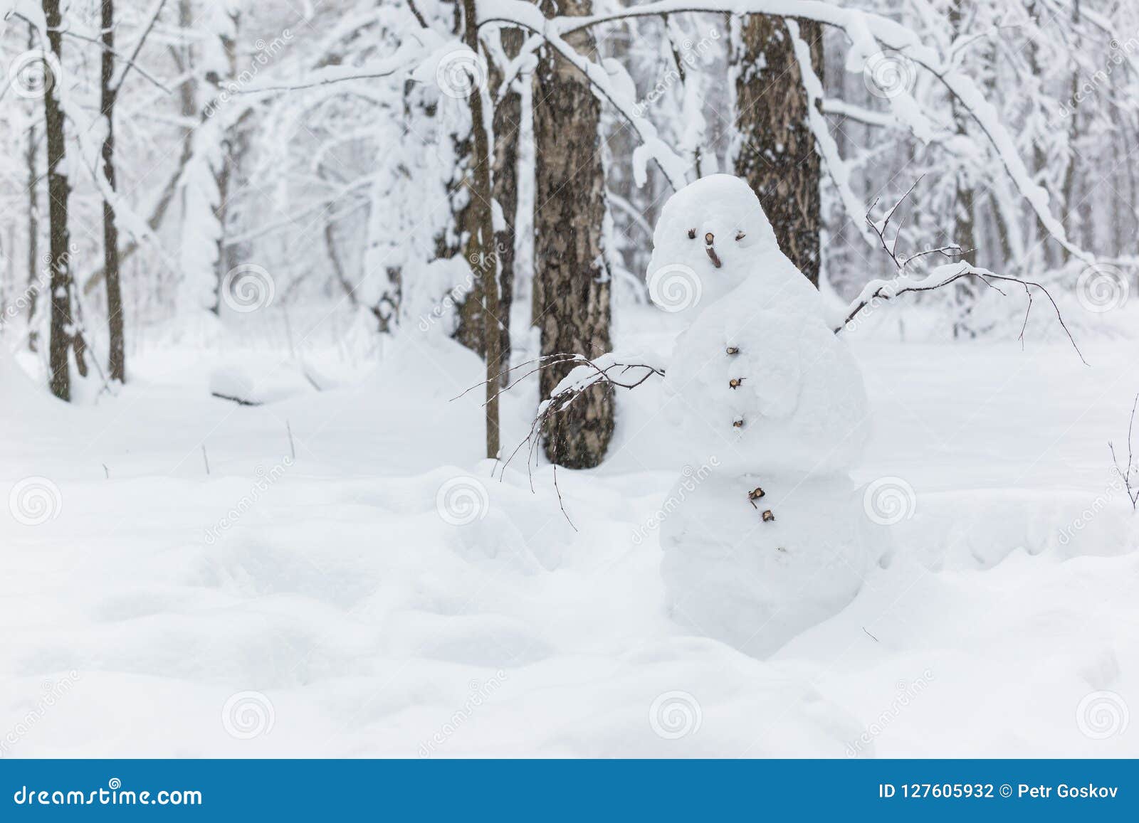 Snowman in Winter Landscape Stock Photo - Image of frozen, scene: 127605932