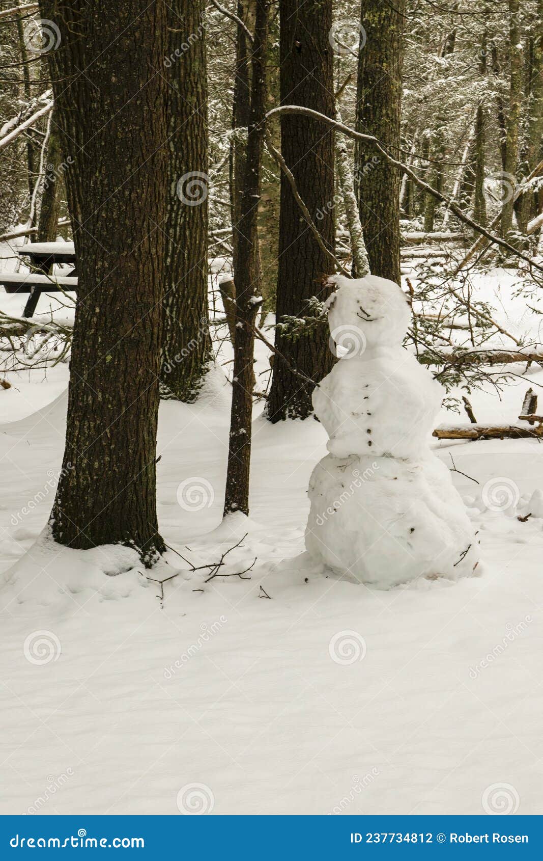 Snowman at Wolf Neck State Park Stock Photo - Image of public, rocky ...