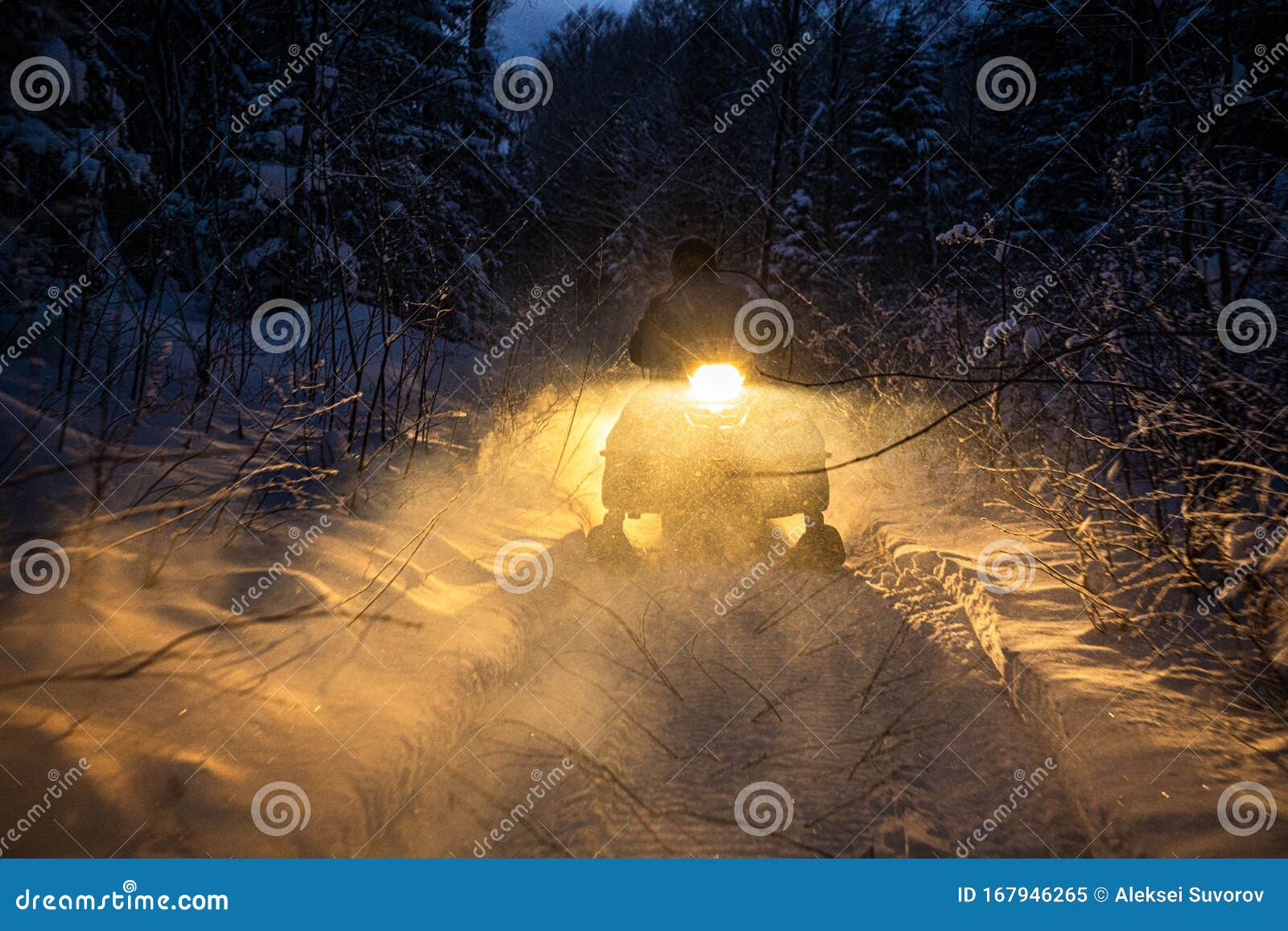 Snowmobile in the Evening Goes through the Winter Forest. Headlights ...