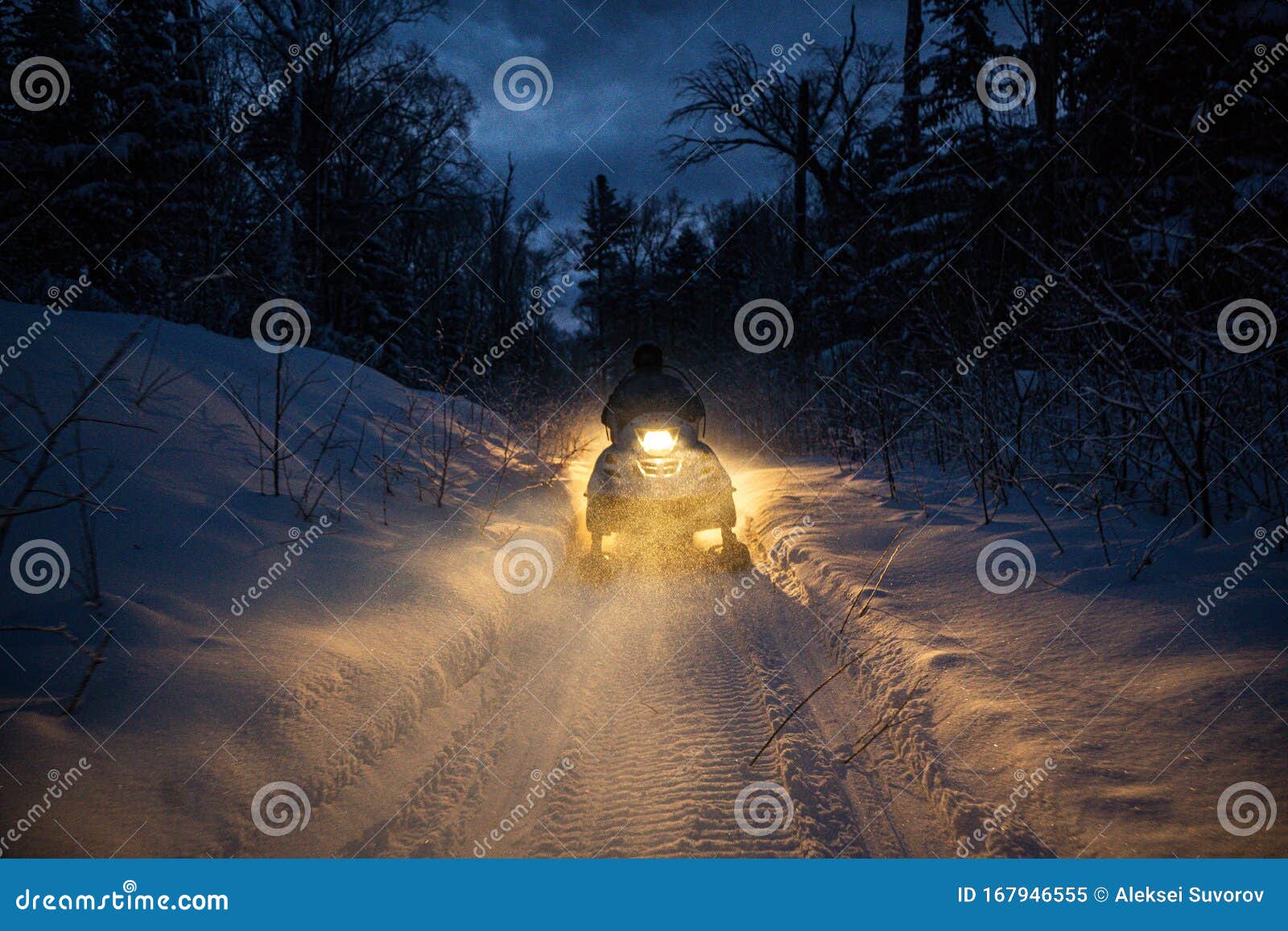 Snowmobile in the Evening Goes through the Winter Forest. Headlights ...