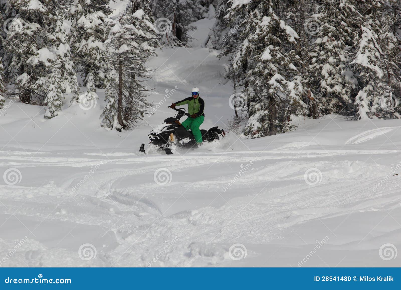 Snowmobile rider stock photo. Image of sport, forest - 28541480