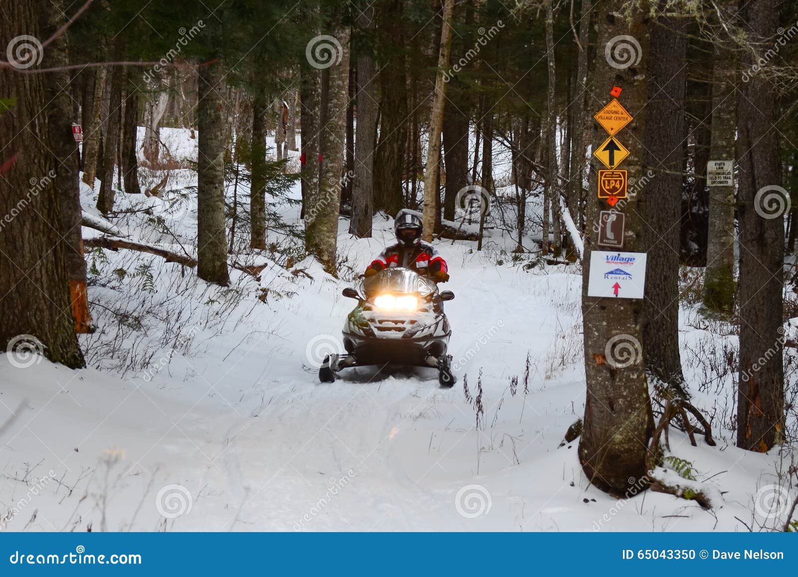 Snowmobile riding on trail editorial image. Image of riding - 65043350