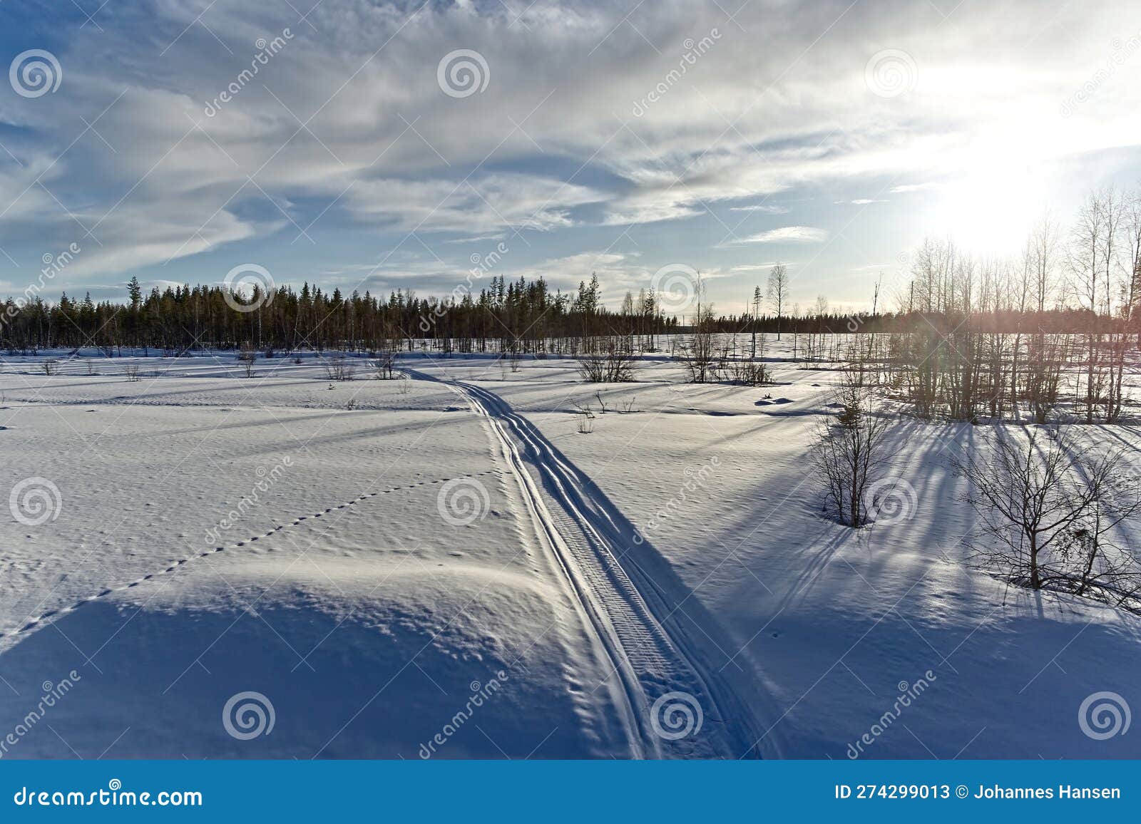 Snowmobile Track on a Thick Layer of Snow in Northern Sweden Stock ...