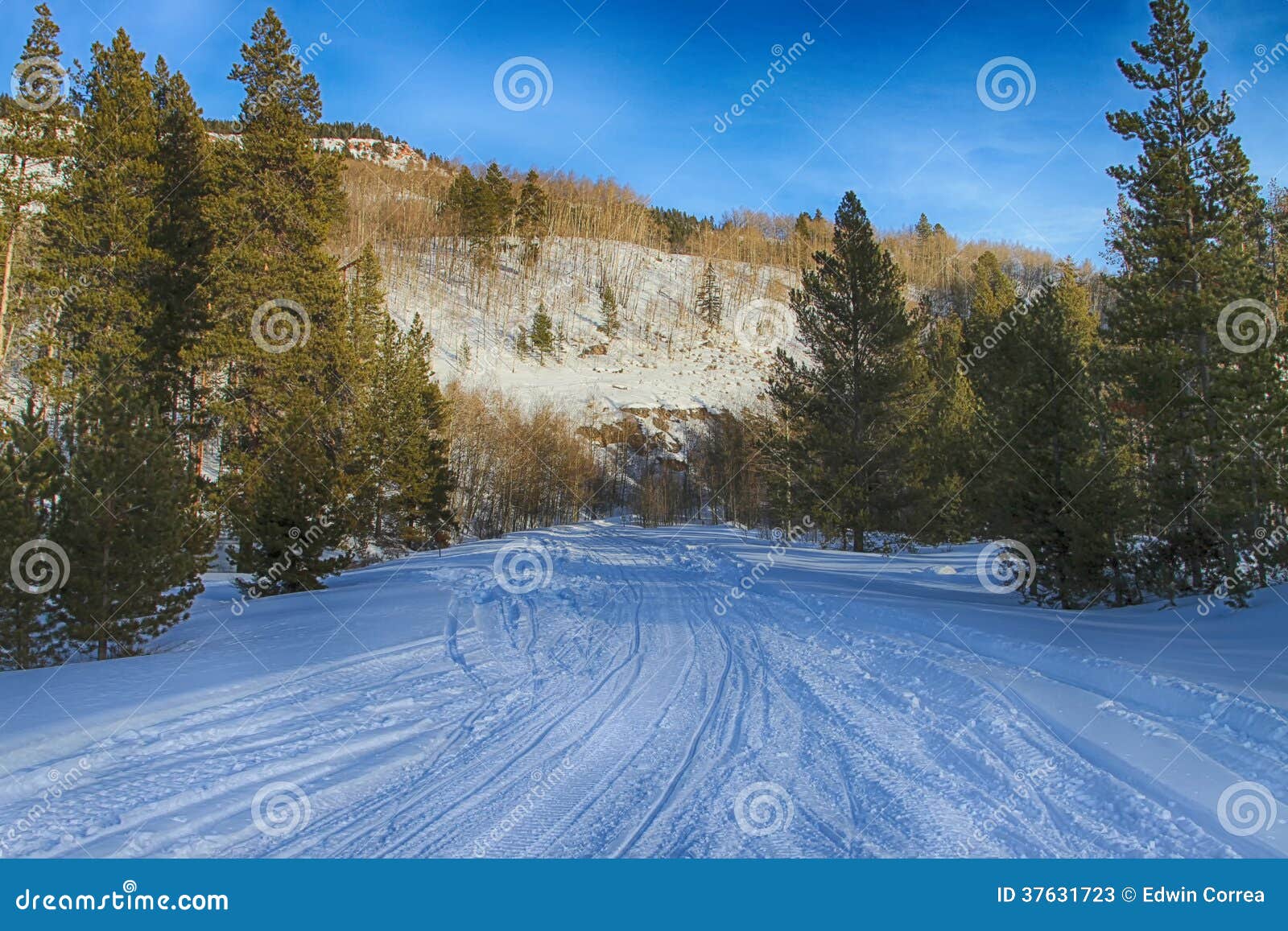 Snowmobile Tracks stock image. Image of outdoors, freeze - 37631723