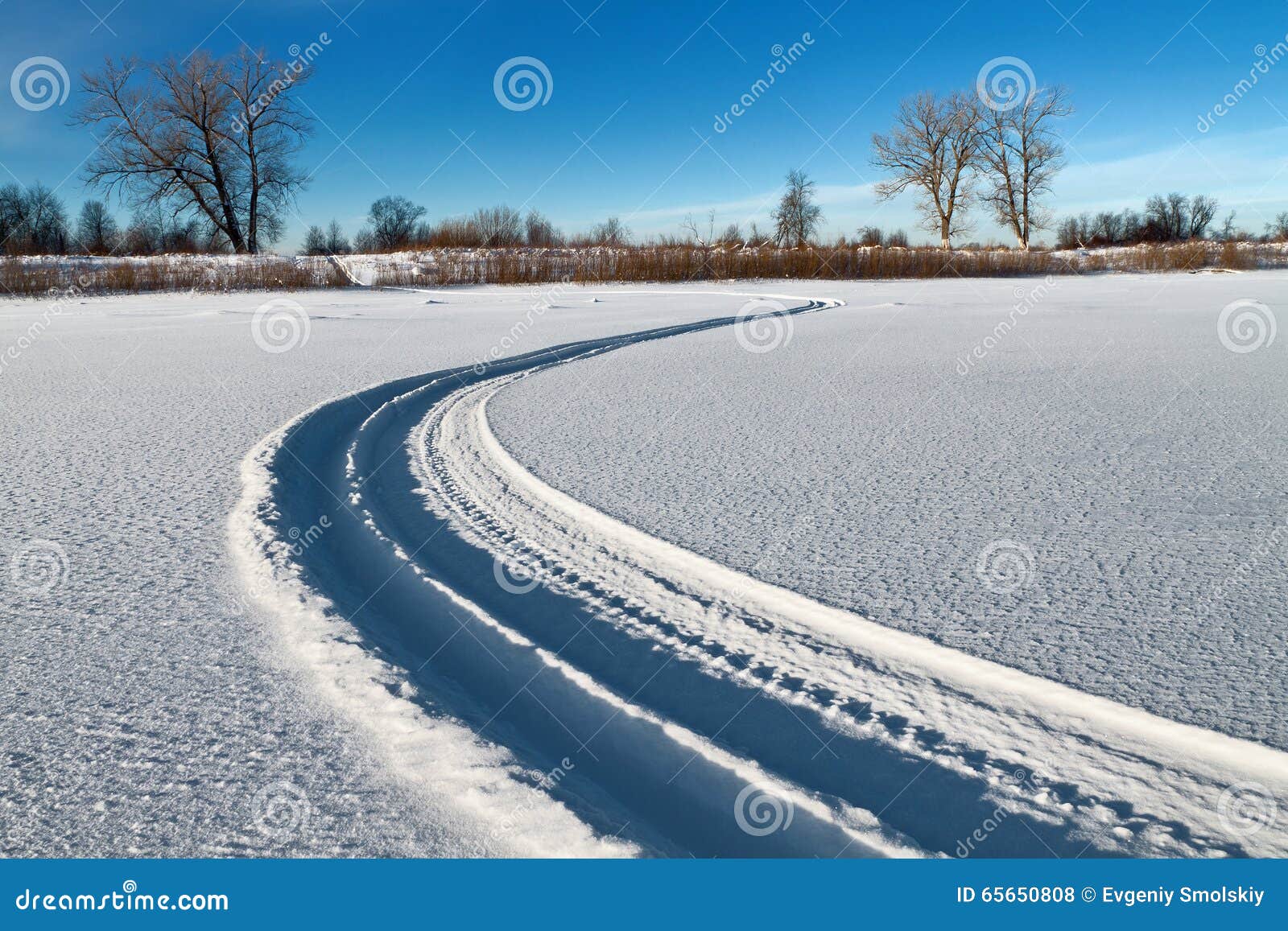 The snowmobile tracks stock photo. Image of trees, curve - 65650808