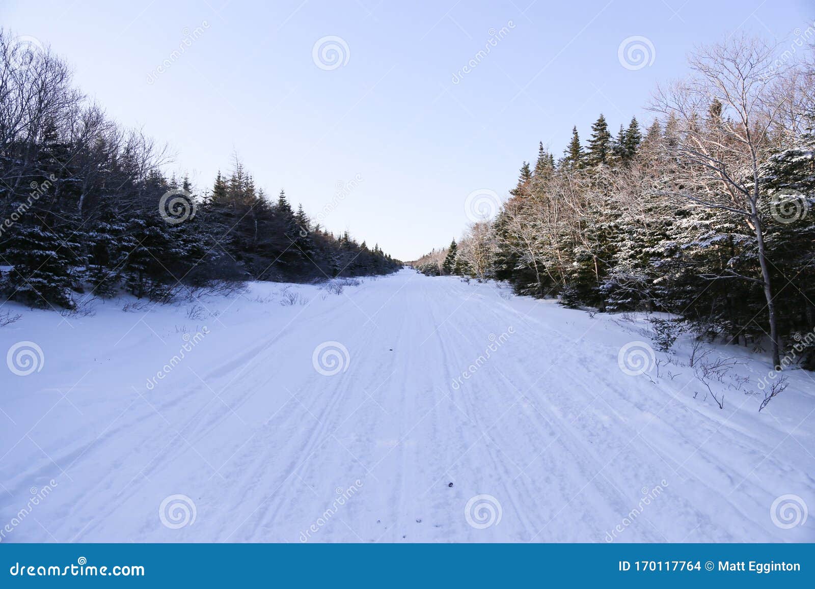 Snowmobile tracks stock photo. Image of scenic, hoar - 170117764