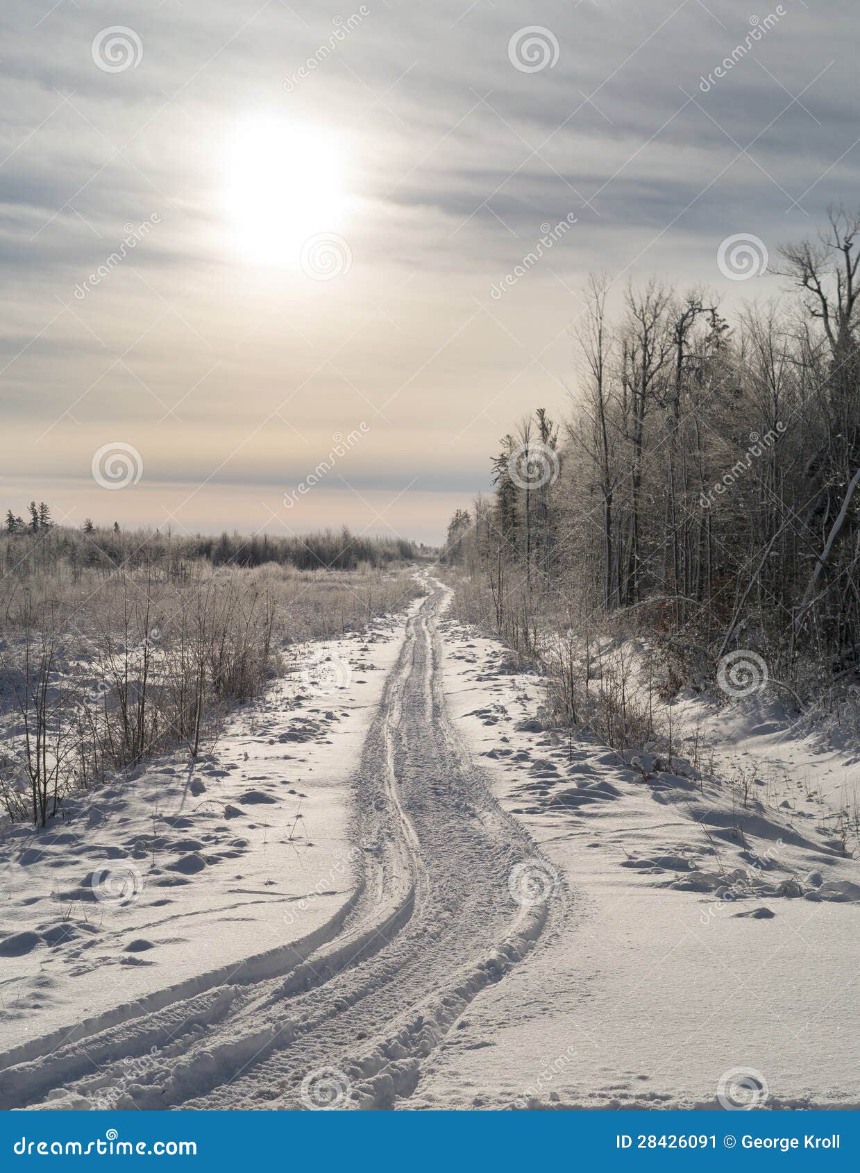 Snowmobile Tracks into Sunlight. Stock Image - Image of snowy, snow ...