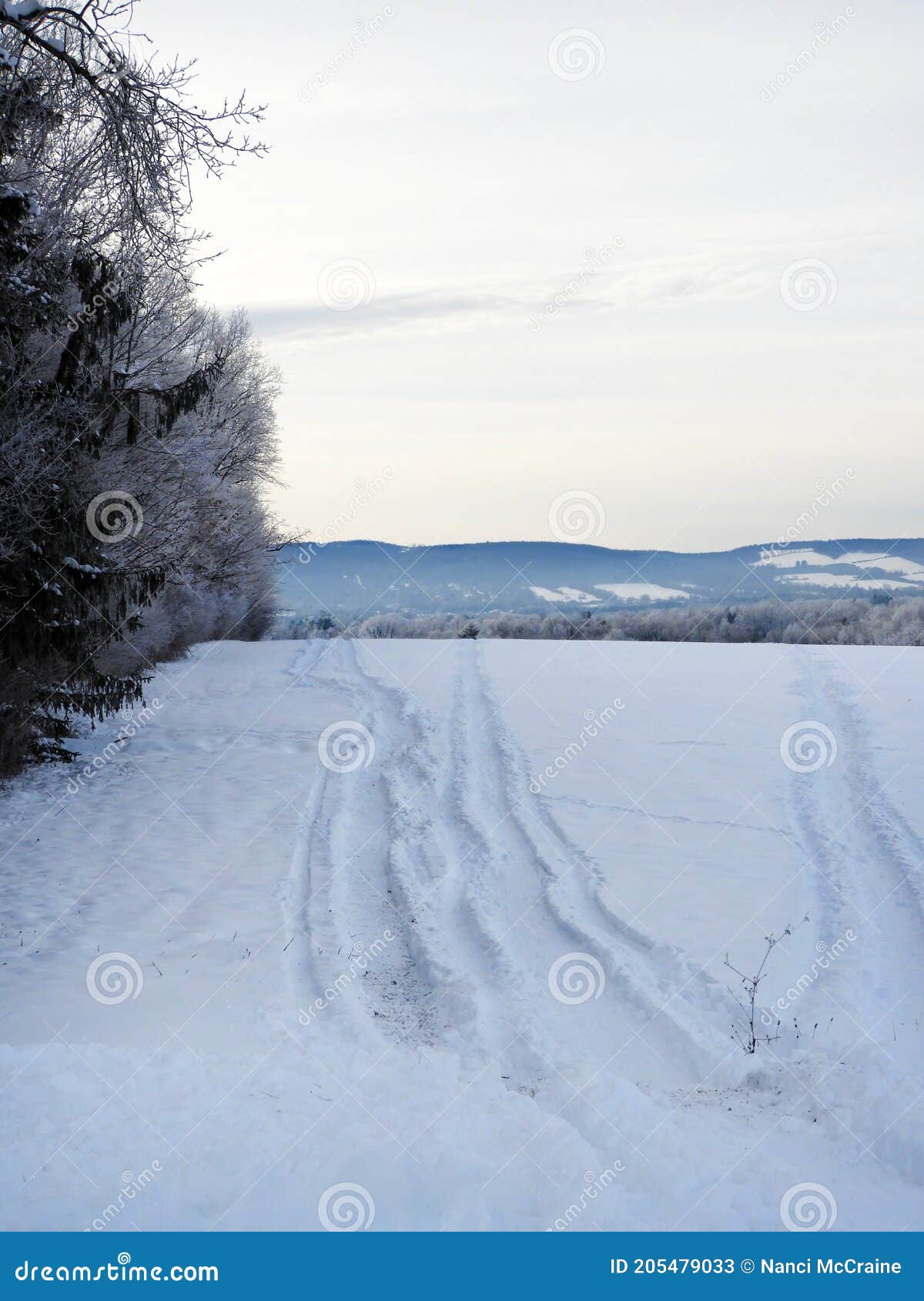Snowmobile Tracks through NYS Winter Countryside Stock Image - Image of ...