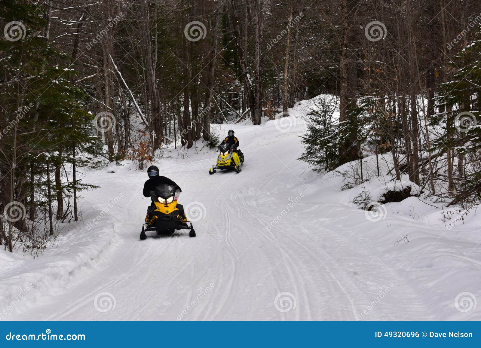 Snowmobiles Riding on Forest Trail in the Adirondacks Editorial Photo ...