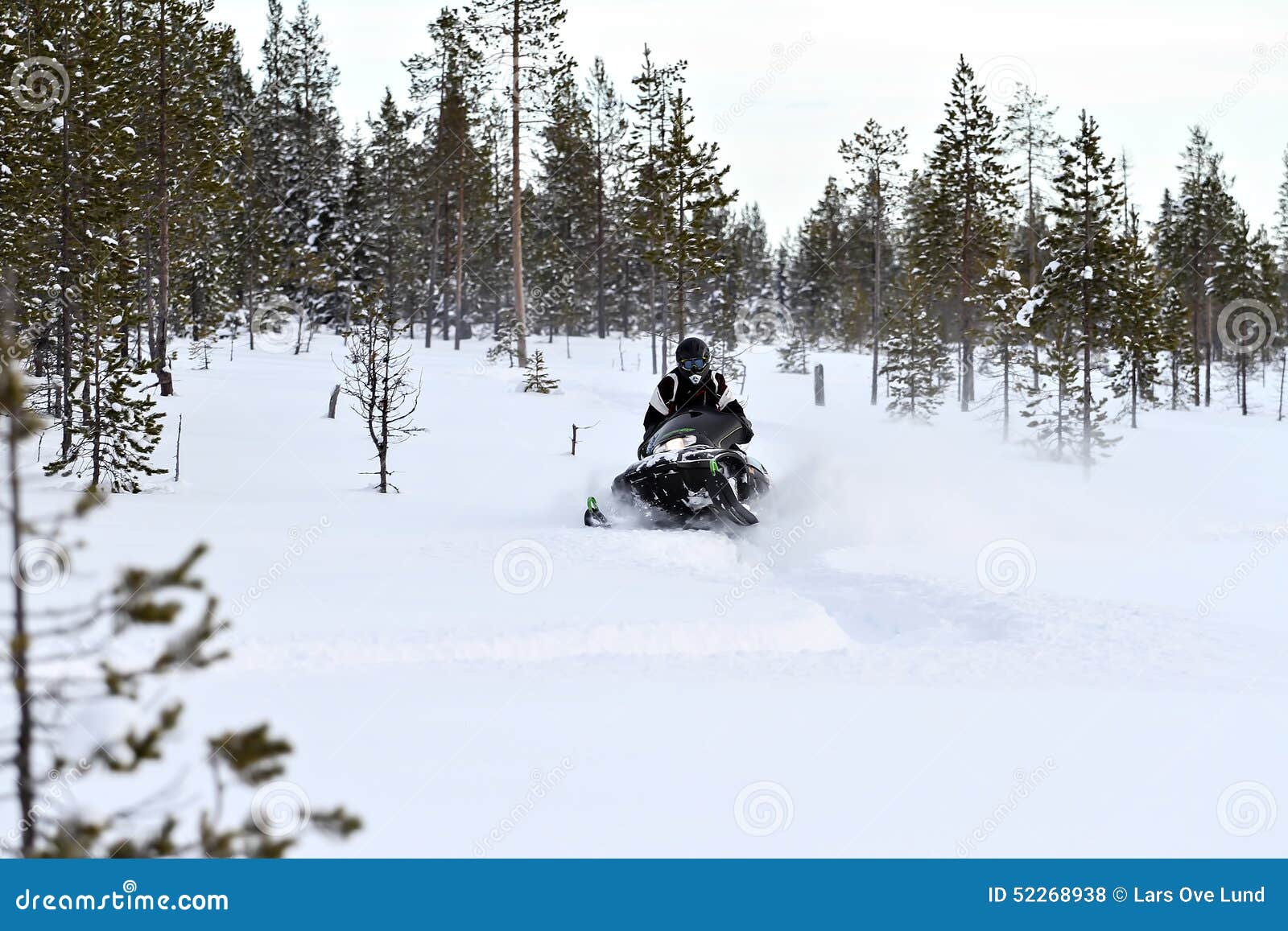 Snowmobiling in Deep Powder in the Forrest Stock Photo - Image of ...