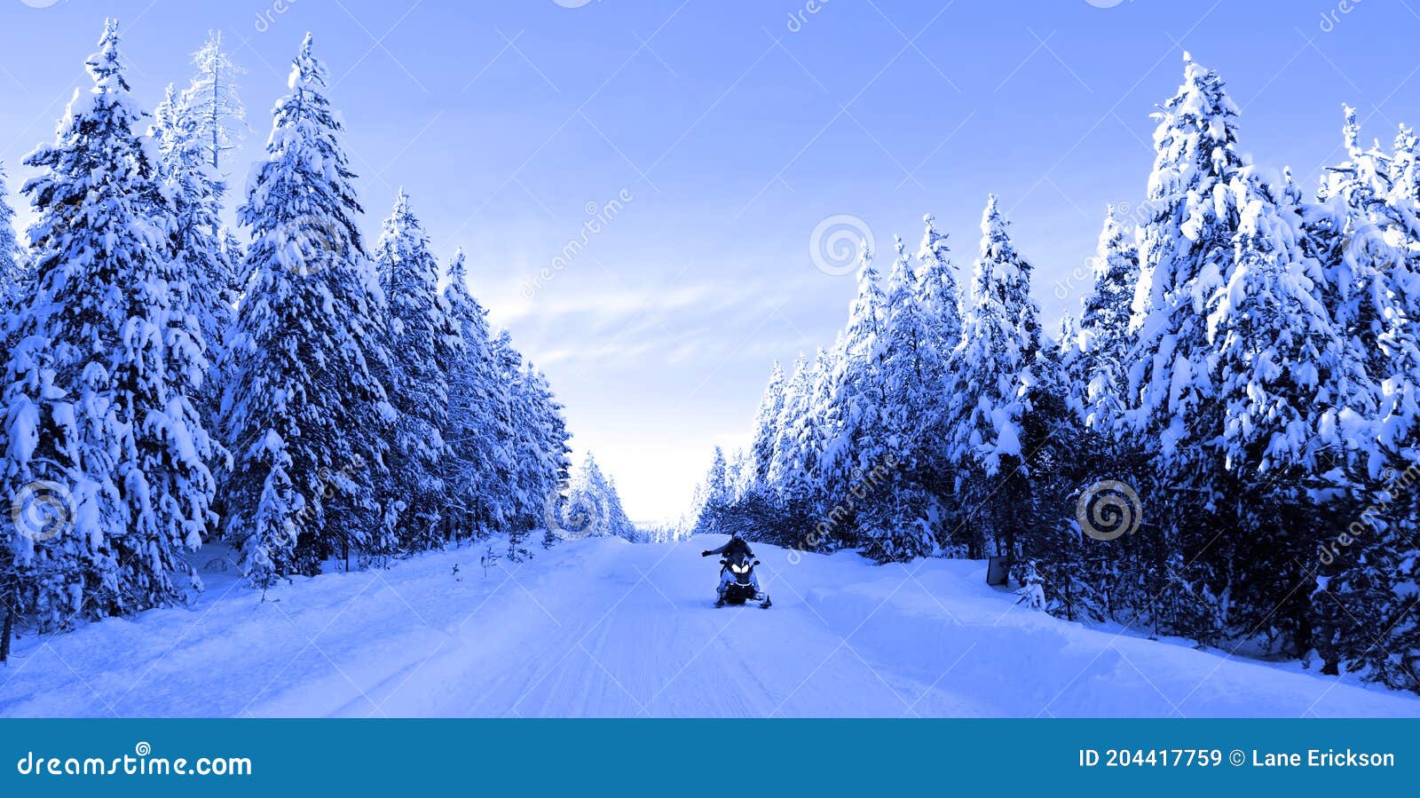 Snowmobiling on Snowy Mountain Road with Snow Covered Pine Trees Stock ...