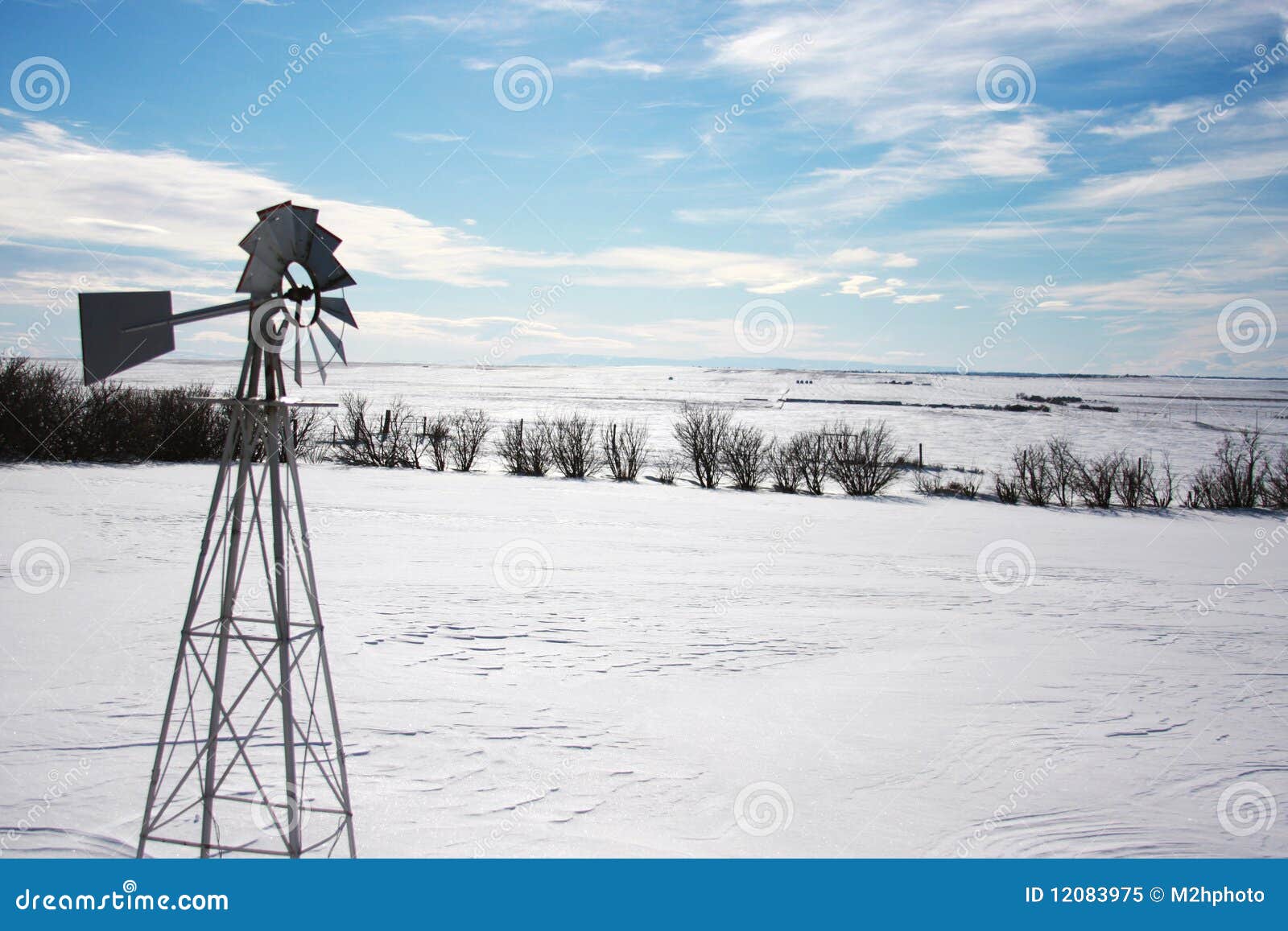 Snowscape stock image. Image of countryside, forest, frosty - 12083975