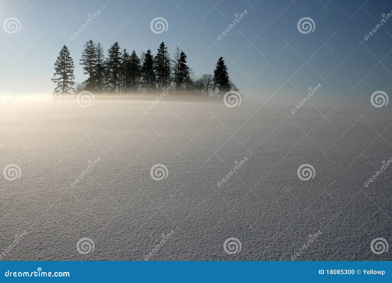 Snowscape stock photo. Image of blizzard, purity, christmas - 18085300