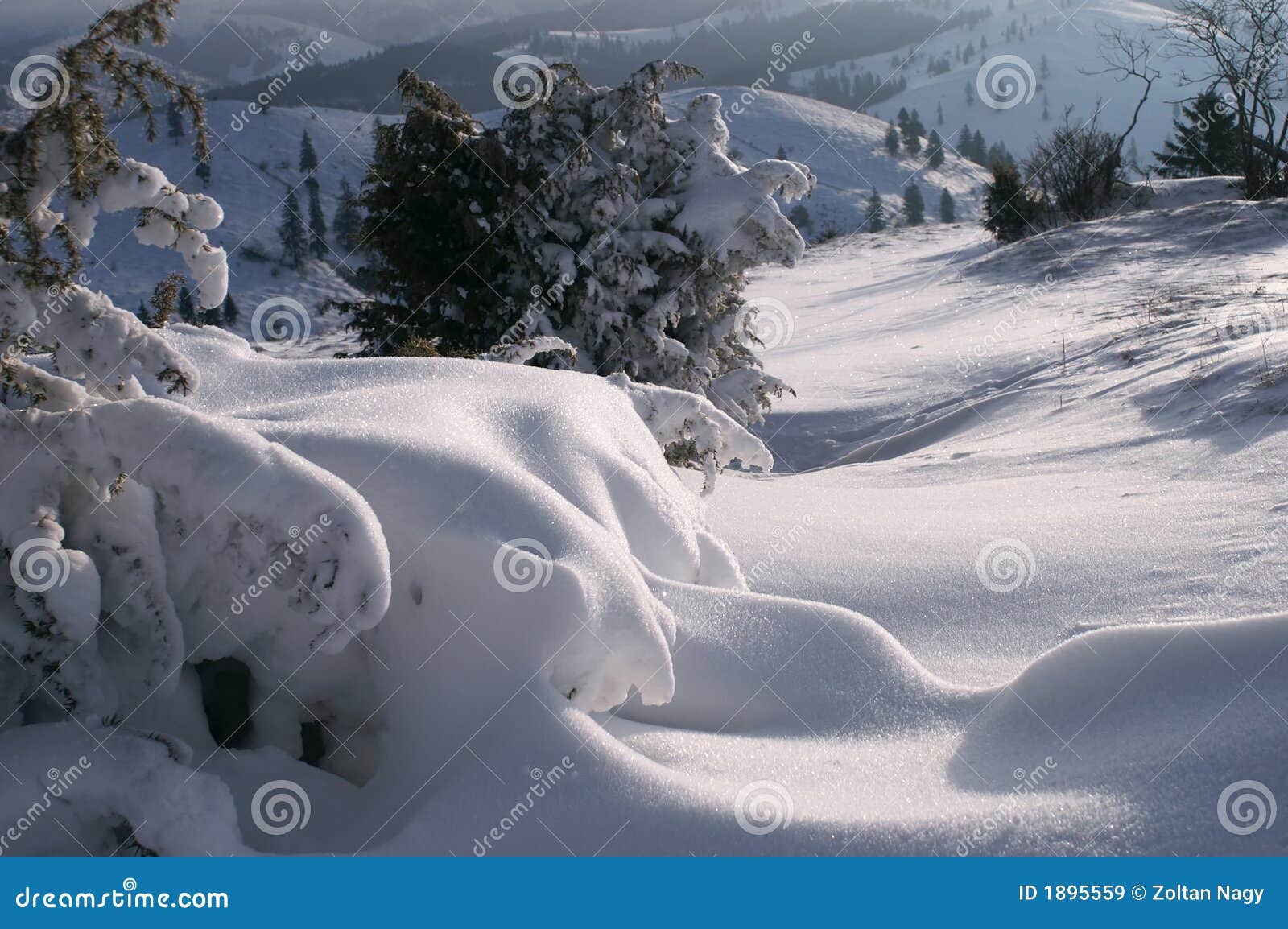 Snowscape stock image. Image of christmas, weather, outdoors - 1895559