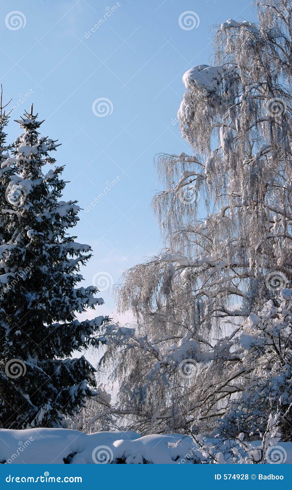 Snowscape stock photo. Image of snowy, christmas, scape - 574928