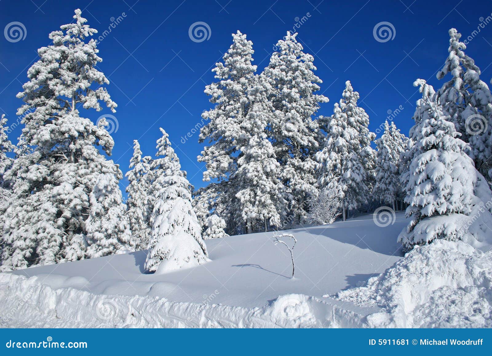 Snowscape stock image. Image of explore, bright, clear - 5911681