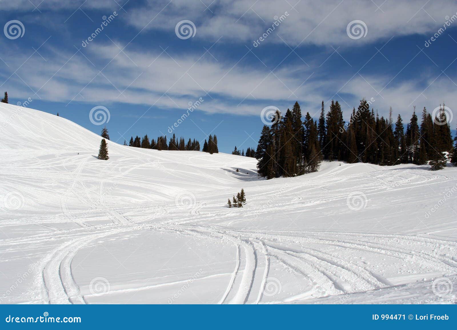 Snowscape stock image. Image of wintery, vacation, wispy - 994471