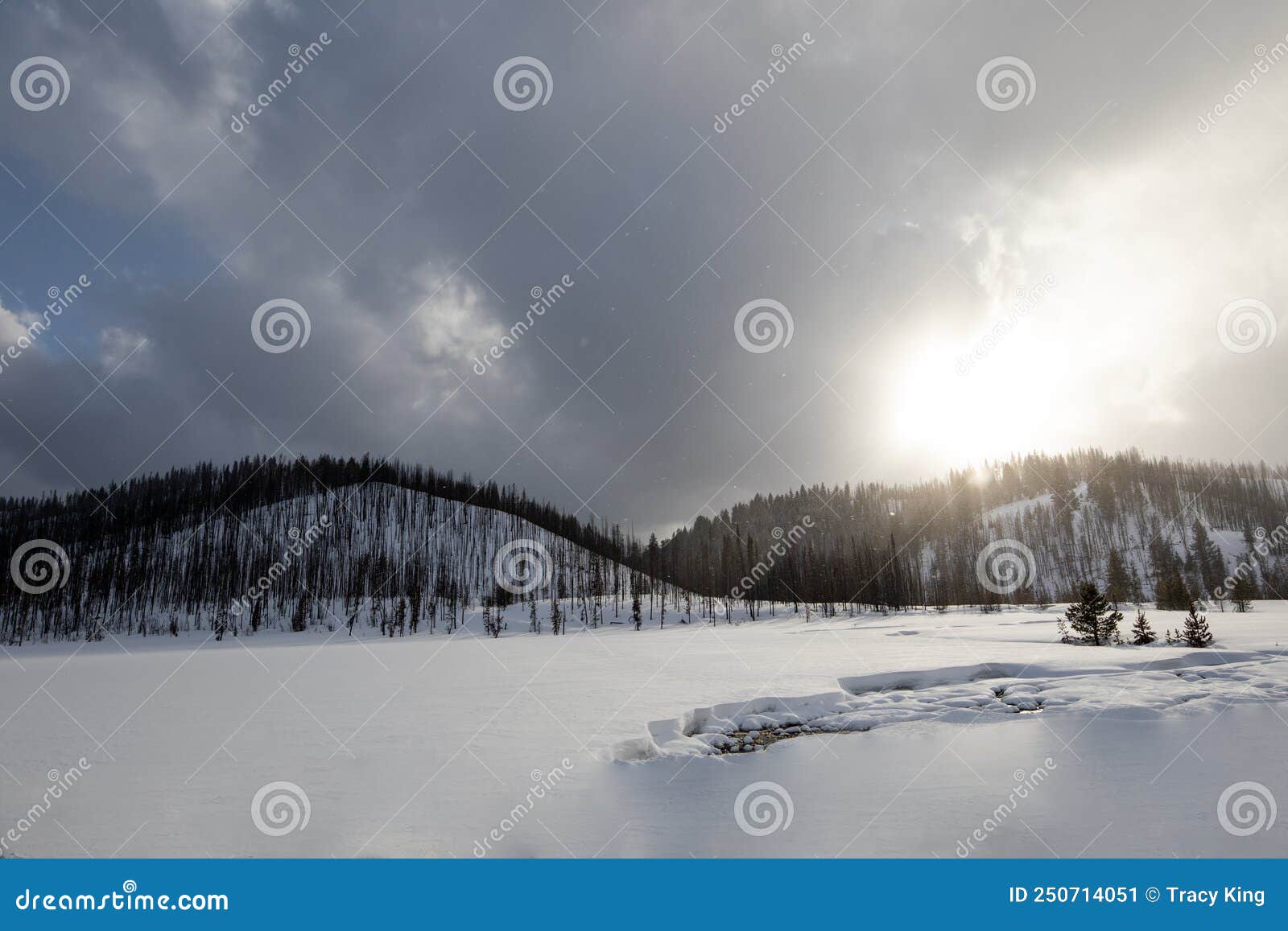 Snowscape with Mountains in the Background Stock Image - Image of ...
