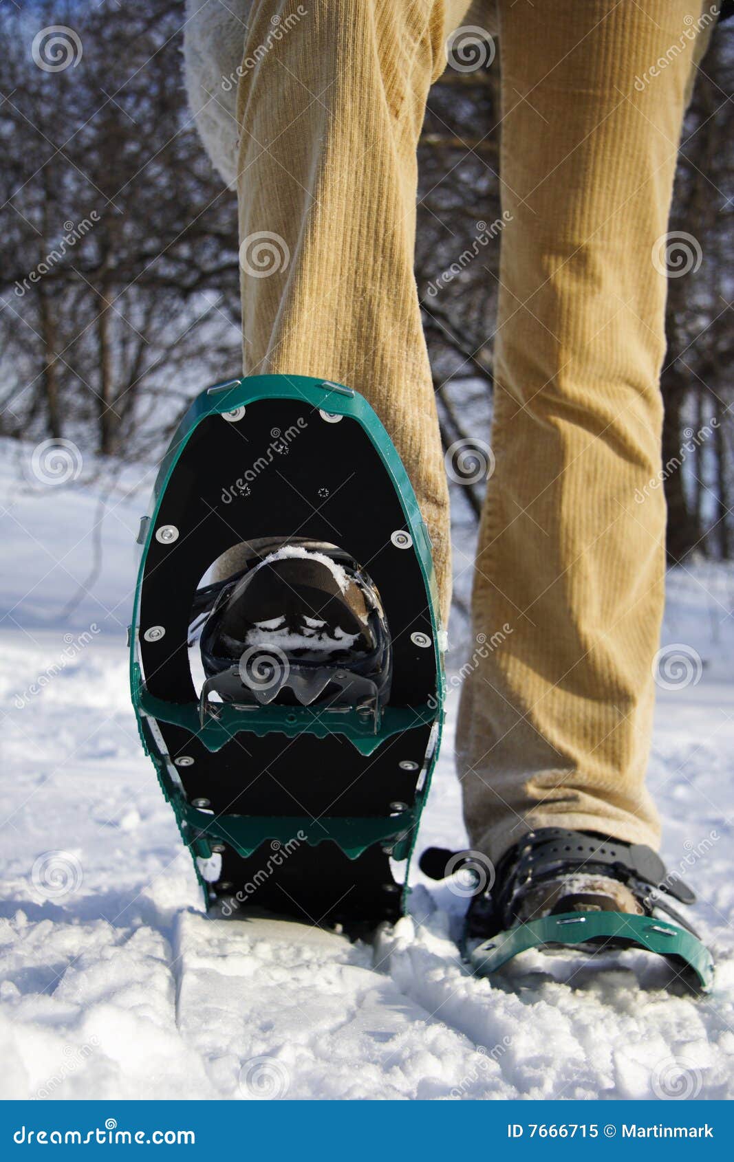 Snowshoeing stock image. Image of outdoors, extreme, climb - 7666715