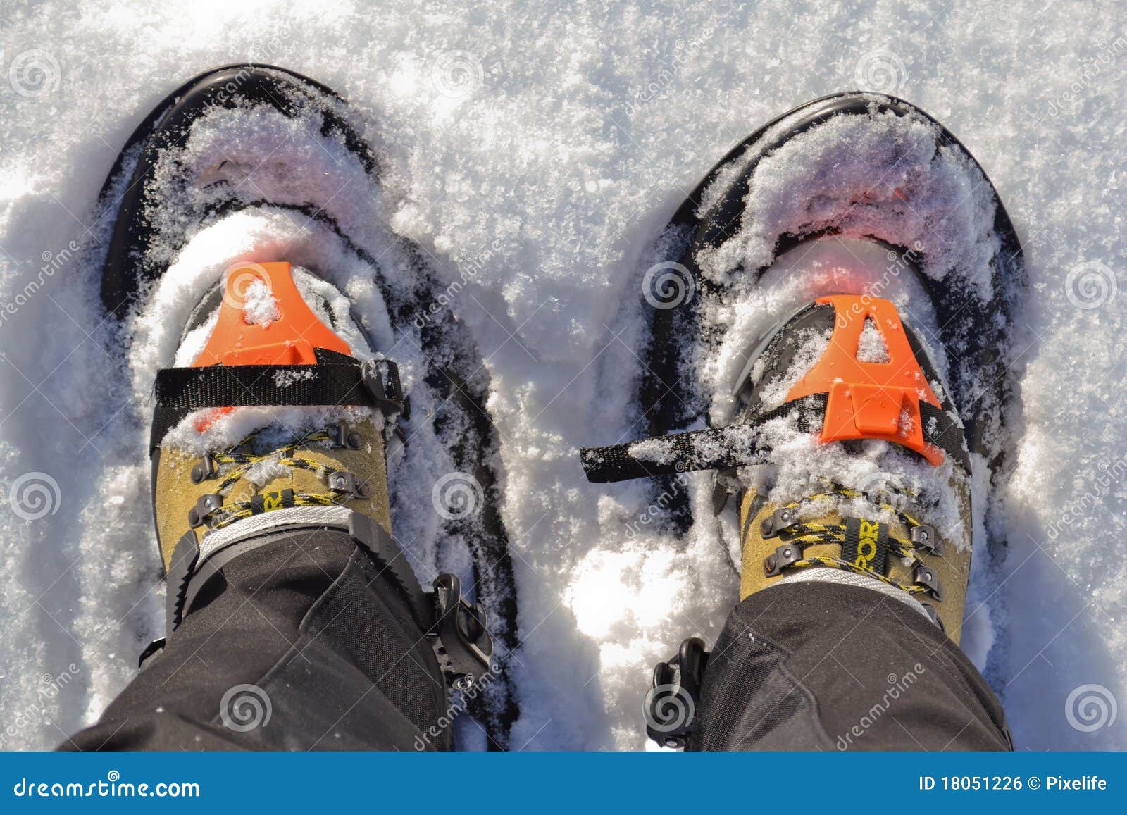 Snowshoes stock photo. Image of cold, canadian, outside - 18051226