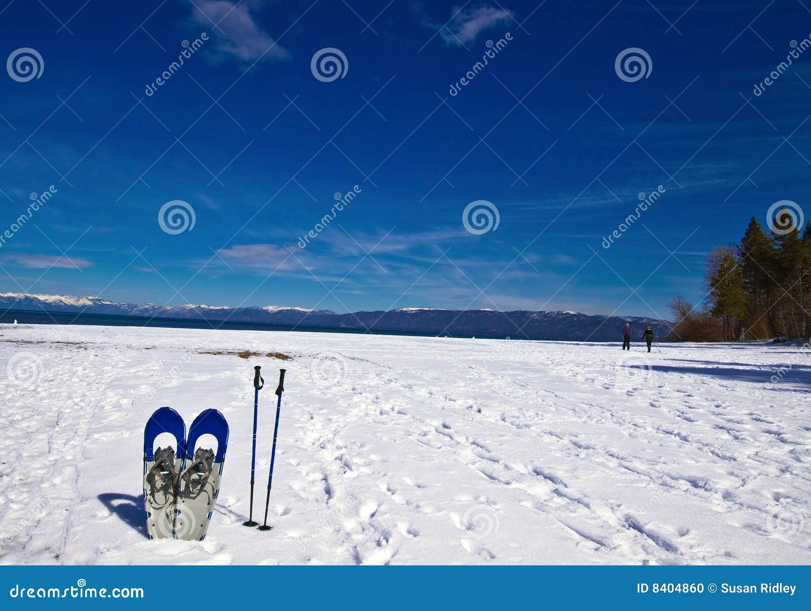 Snowshoes stock photo. Image of holiday, remote, california - 8404860