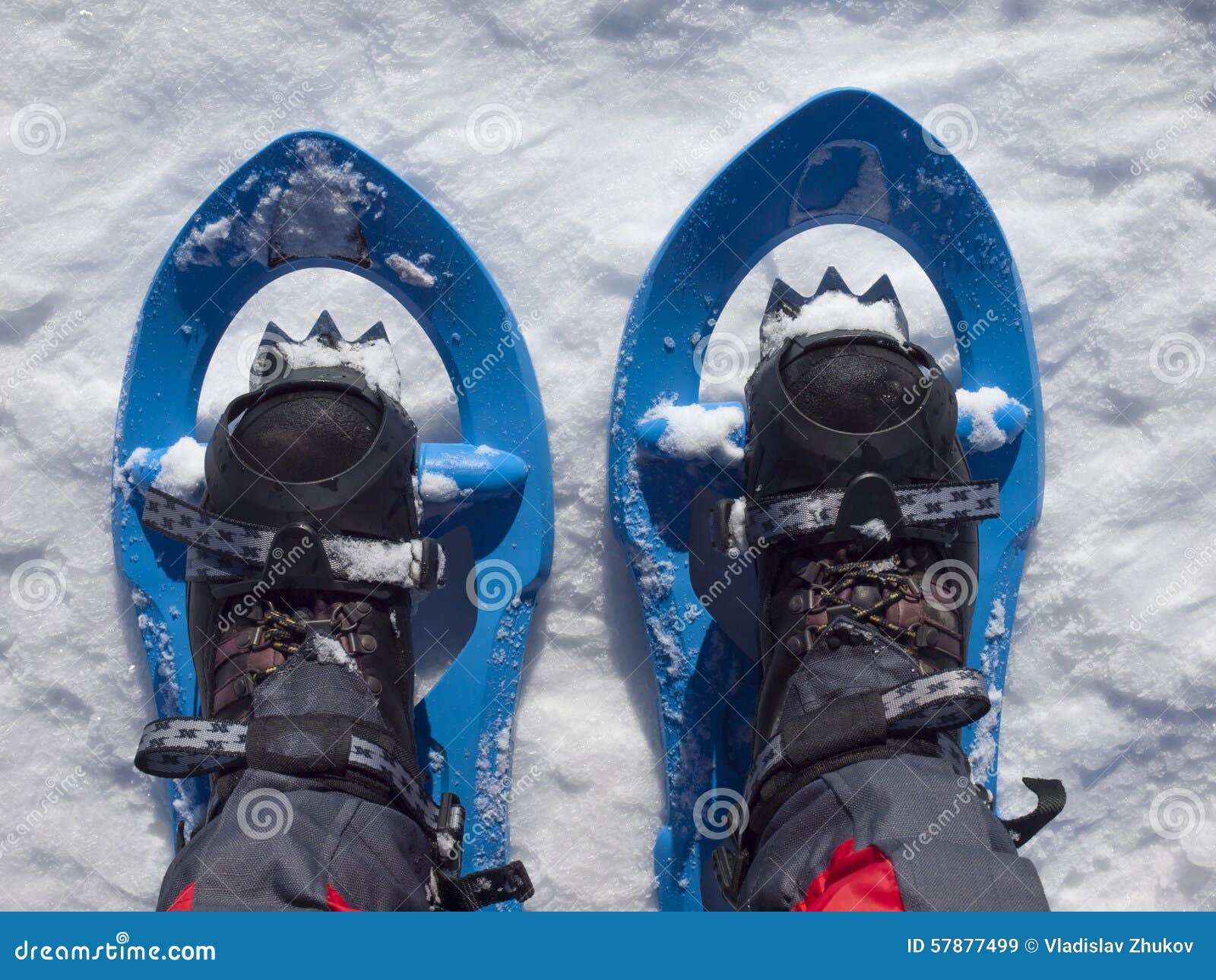 Snowshoes for Walking on Snow. Stock Image - Image of sport, freedom ...