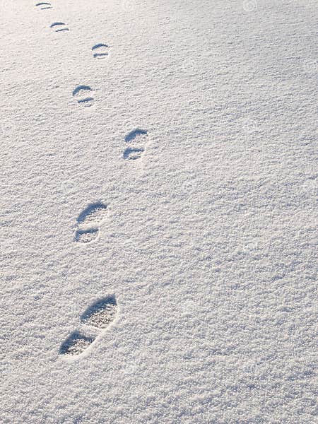 Snowsteps stock image. Image of walk, steps, imprint, winter - 7649707