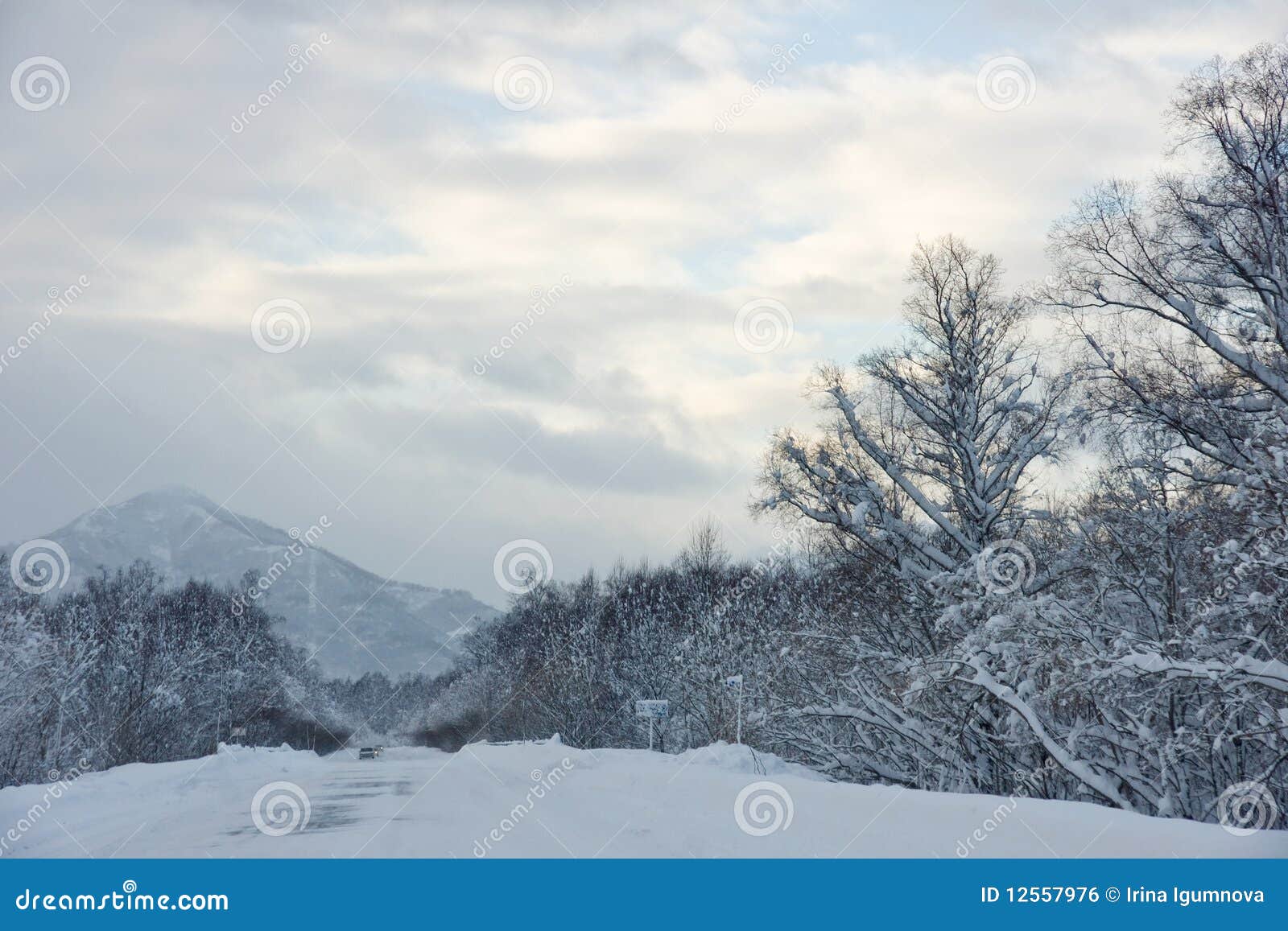 Snowstorm stock photo. Image of pattern, flakes, white - 12557976