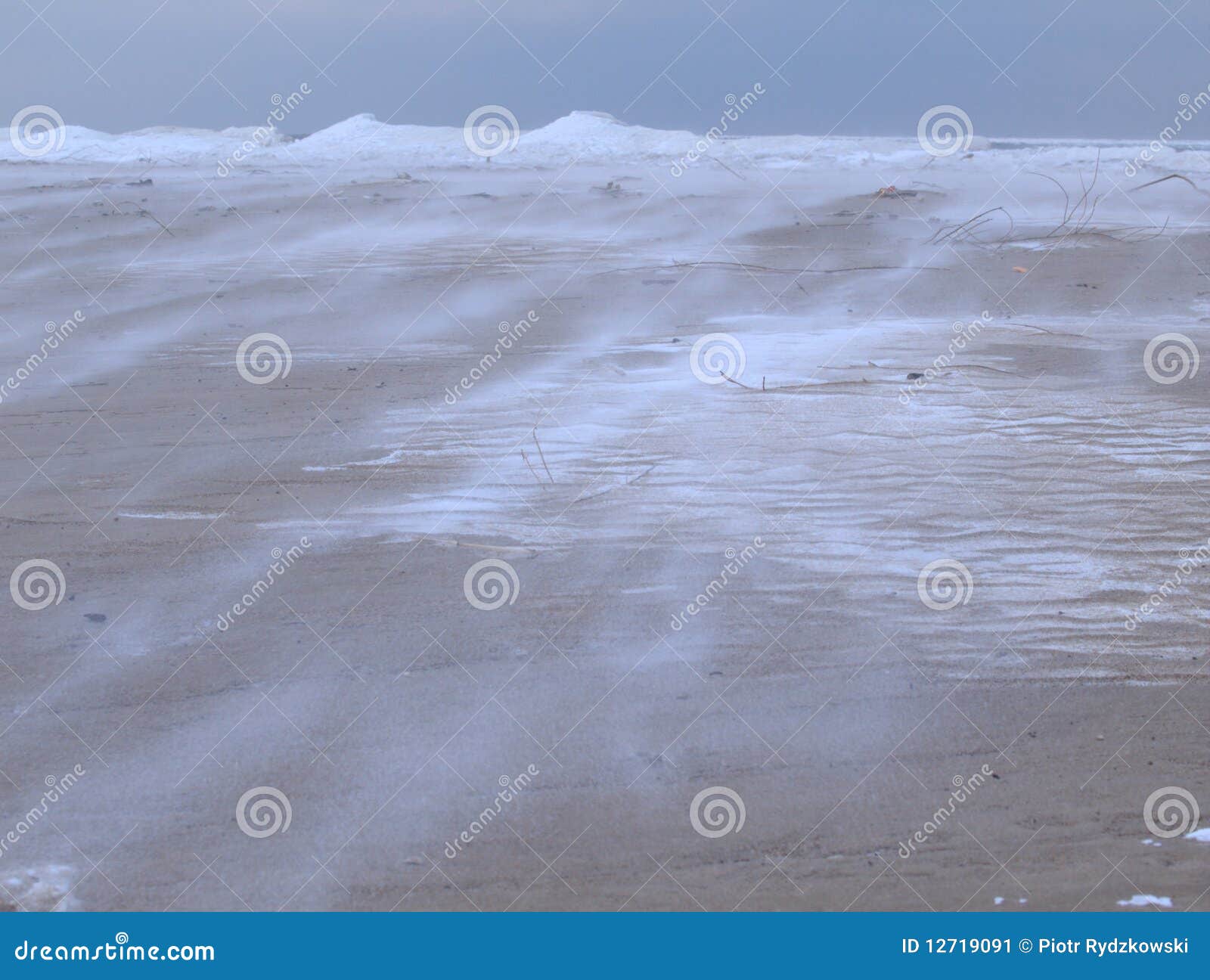 Snowstorm stock image. Image of beach, seashore, snowstorm - 12719091