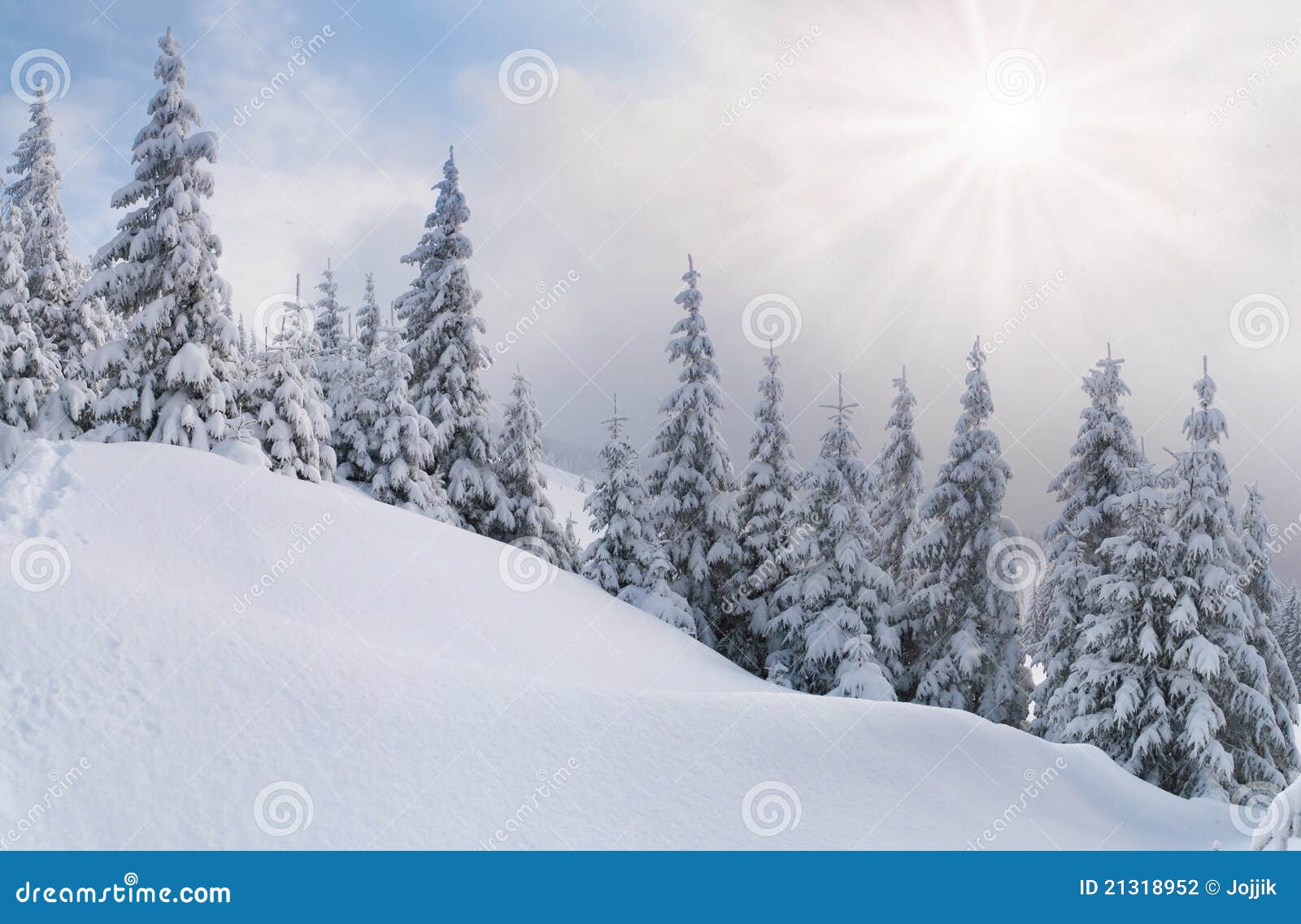 Snowstorm stock photo. Image of morning, outdoor, hoarfrost - 21318952