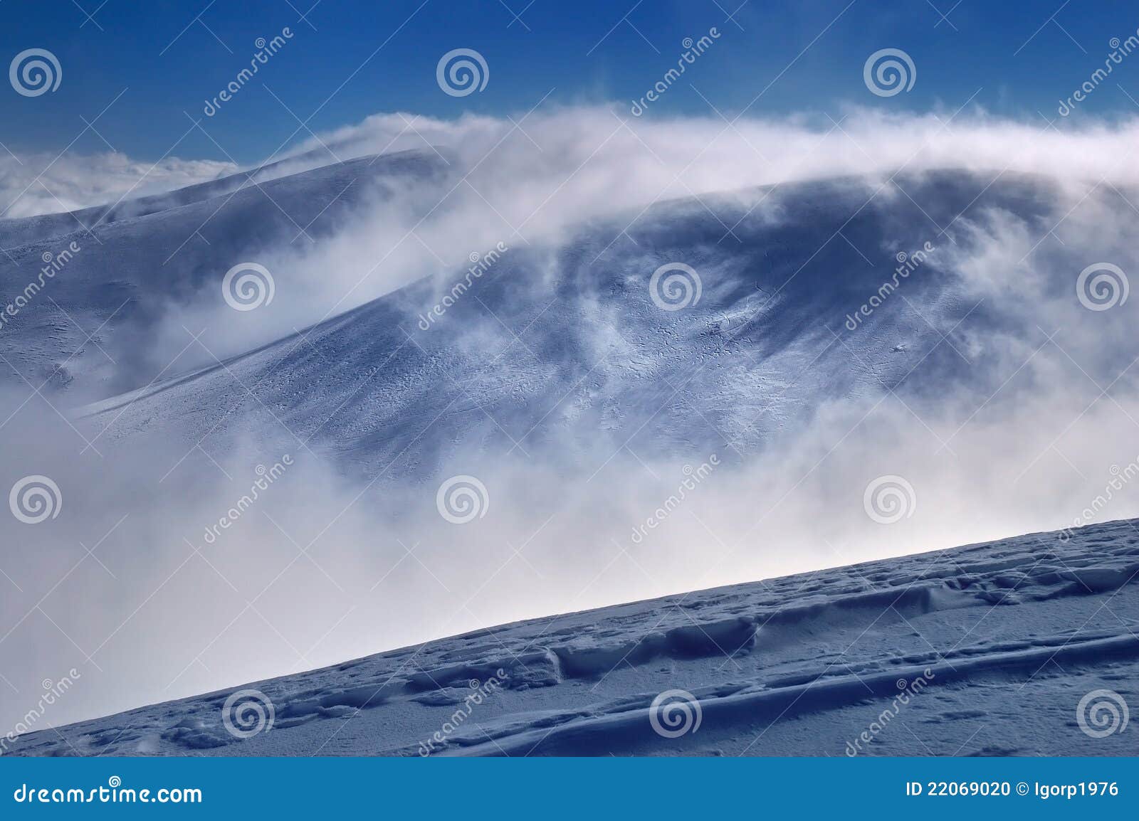 Snowstorm stock photo. Image of nature, winter, cold - 22069020