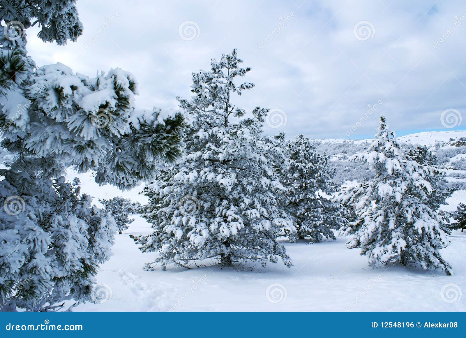 After snowstorm f stock photo. Image of mountain, overcast - 12548196