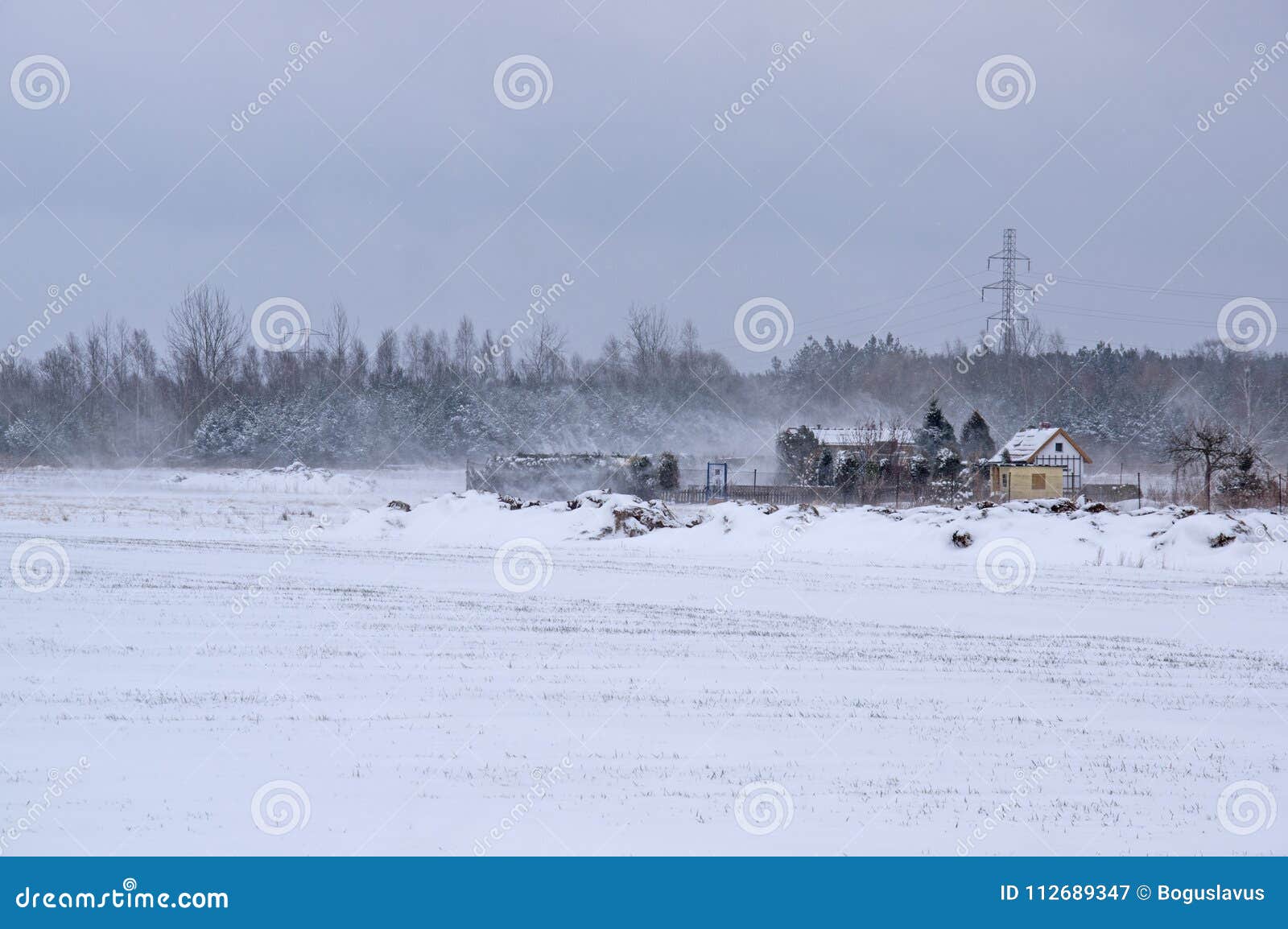 Snowstorm in the field. stock image. Image of space - 112689347