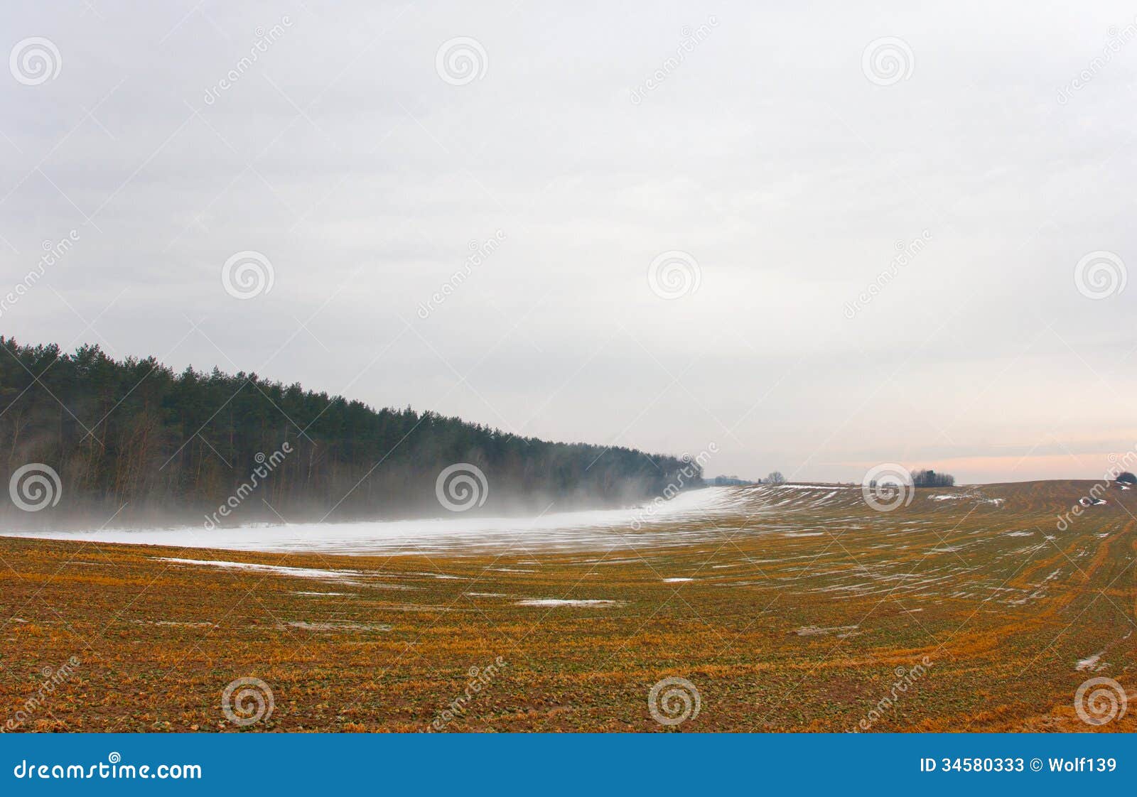 Snowstorm on the Field in Winter Stock Image - Image of tranquil, frost ...