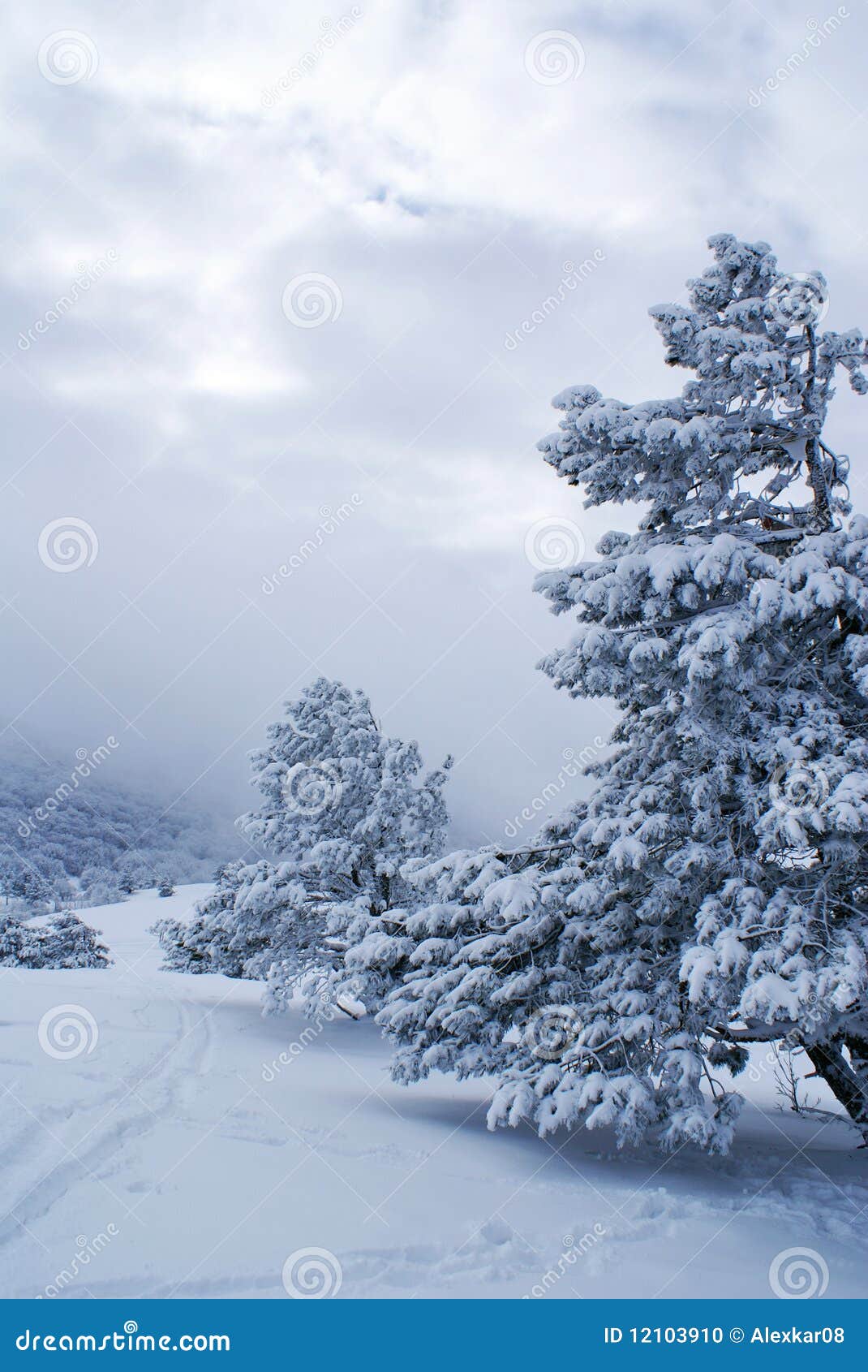 After snowstorm h stock photo. Image of frost, view, snow - 12103910