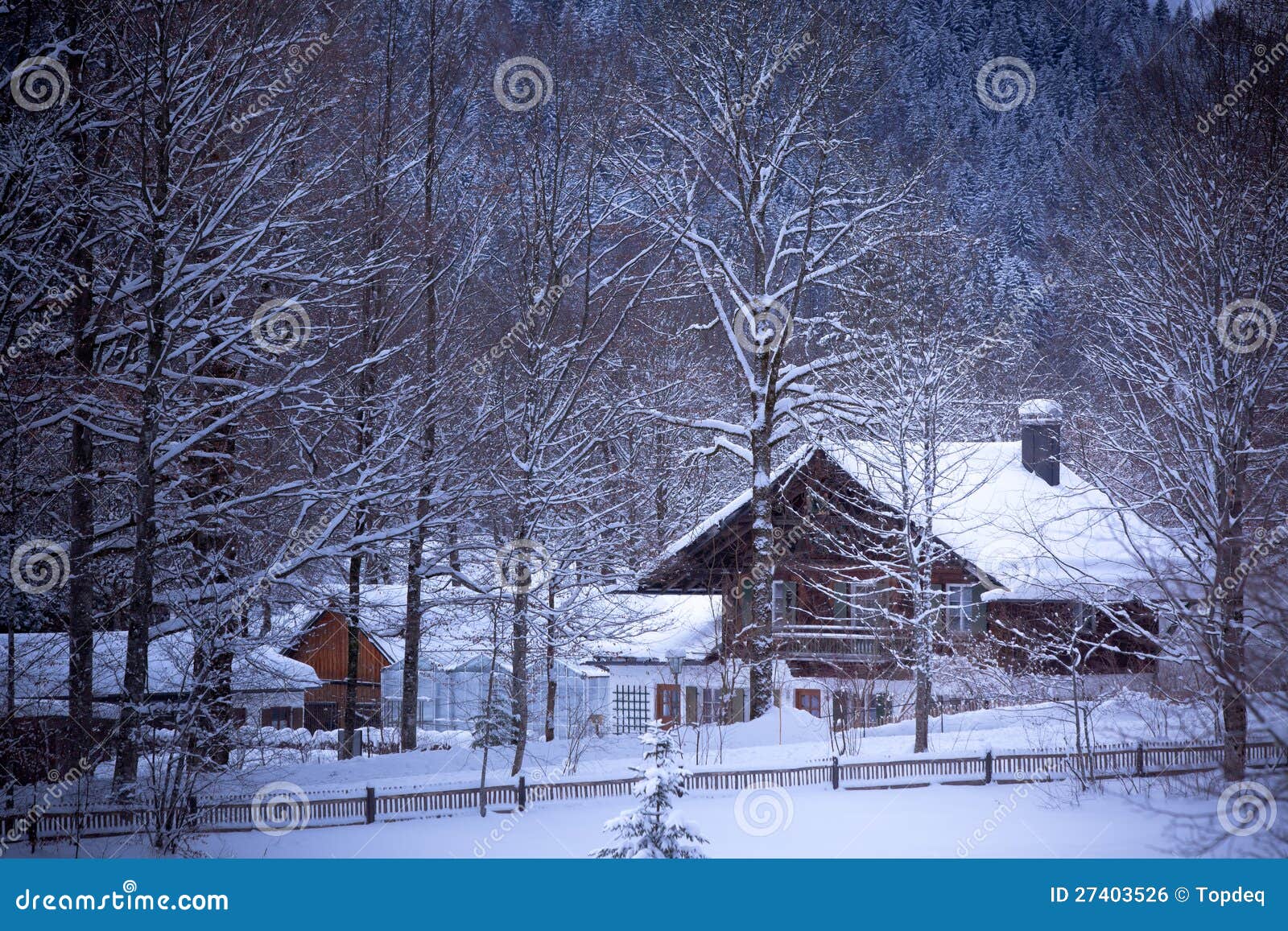 Snowy Alpine House in the Woods Stock Photo - Image of frozen, rural ...