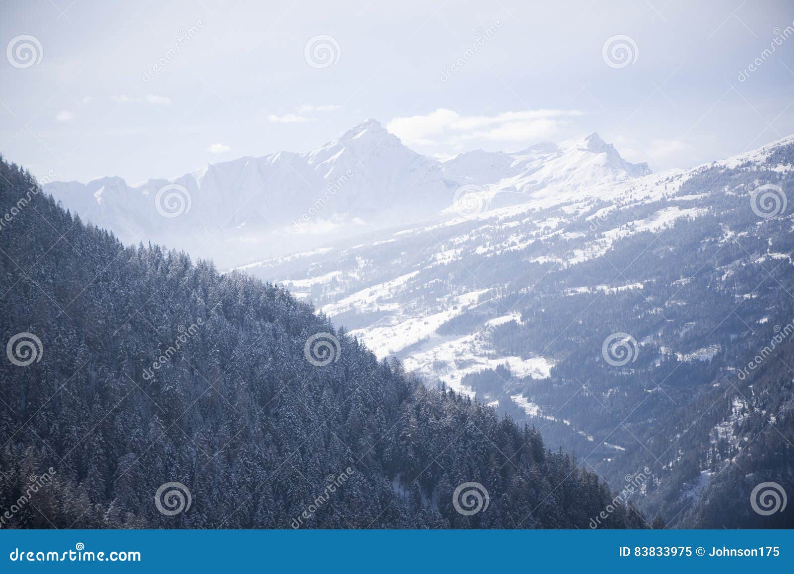 Snowy Alps stock image. Image of forest, alps, panoramic - 83833975