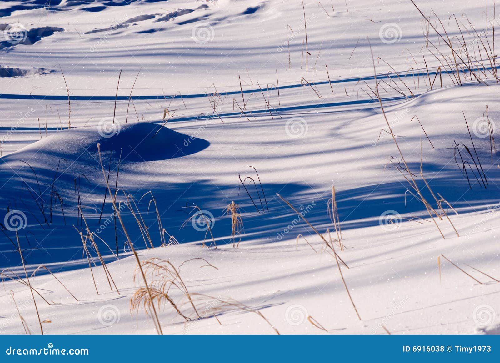 Snowy Area Picture. Image: 6916038