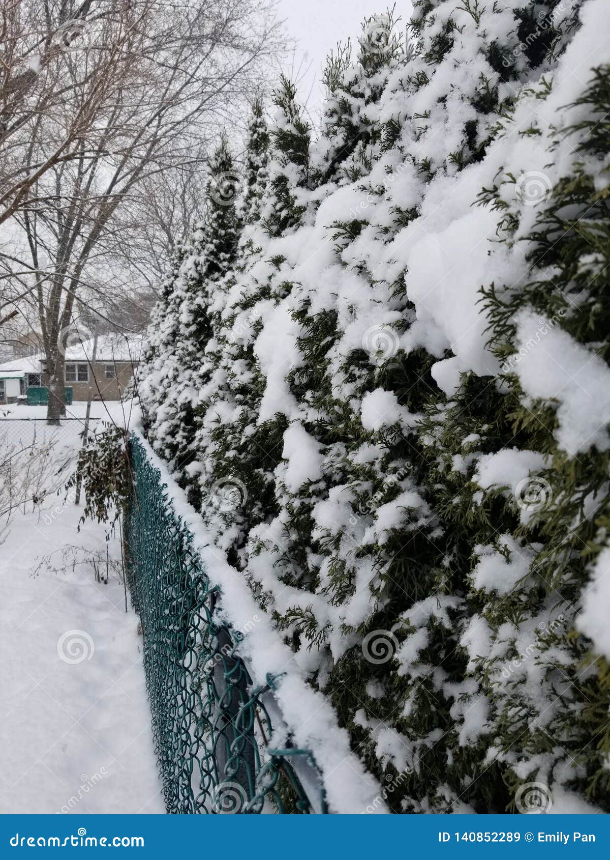 A Snowy Backyard stock image. Image of qghborhood, quietghborhood ...