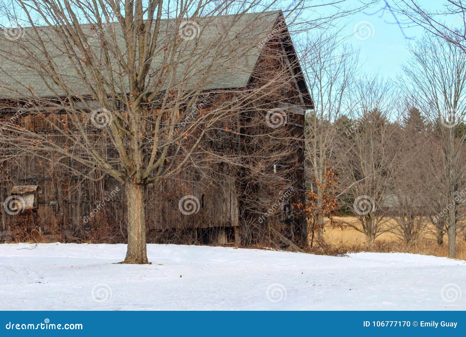 Snowy barn stock photo. Image of storm, snowy, beginning - 106777170
