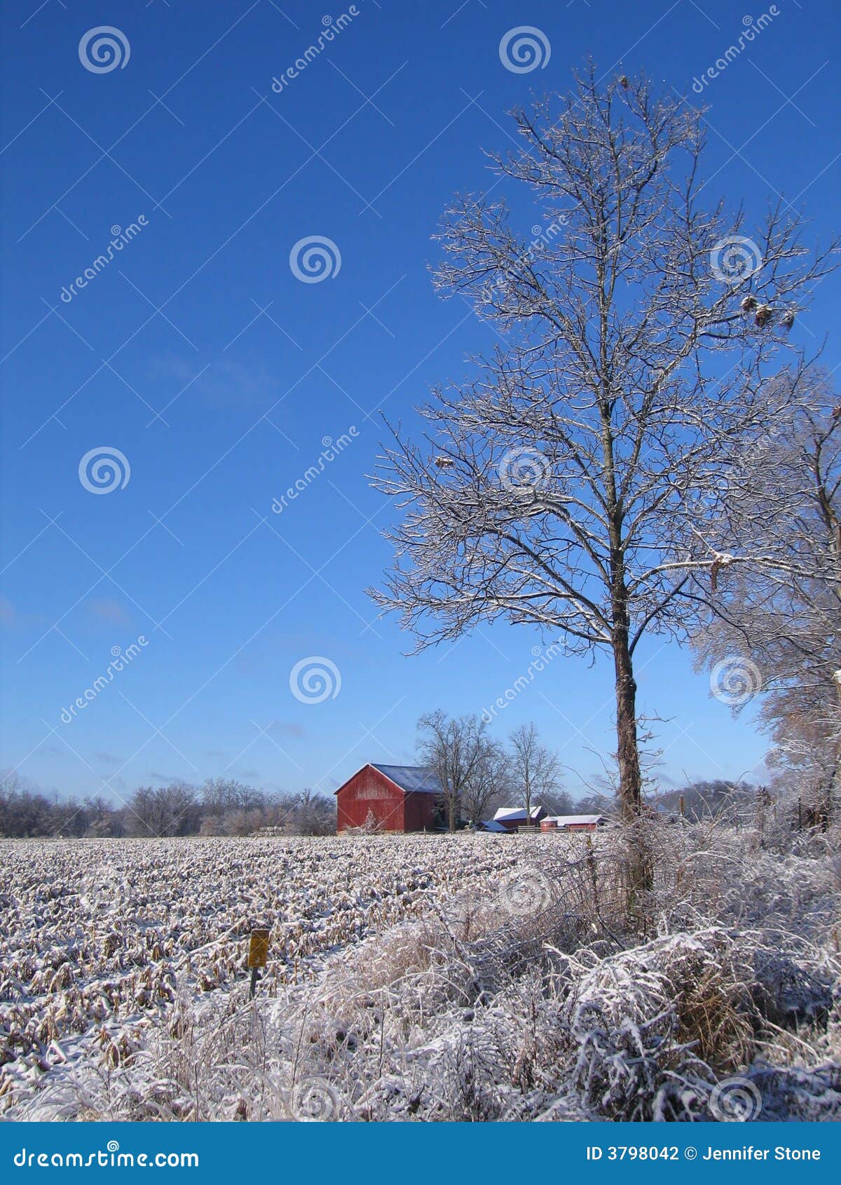 Snowy Barn in Dexter stock photo. Image of barren, cold - 3798042